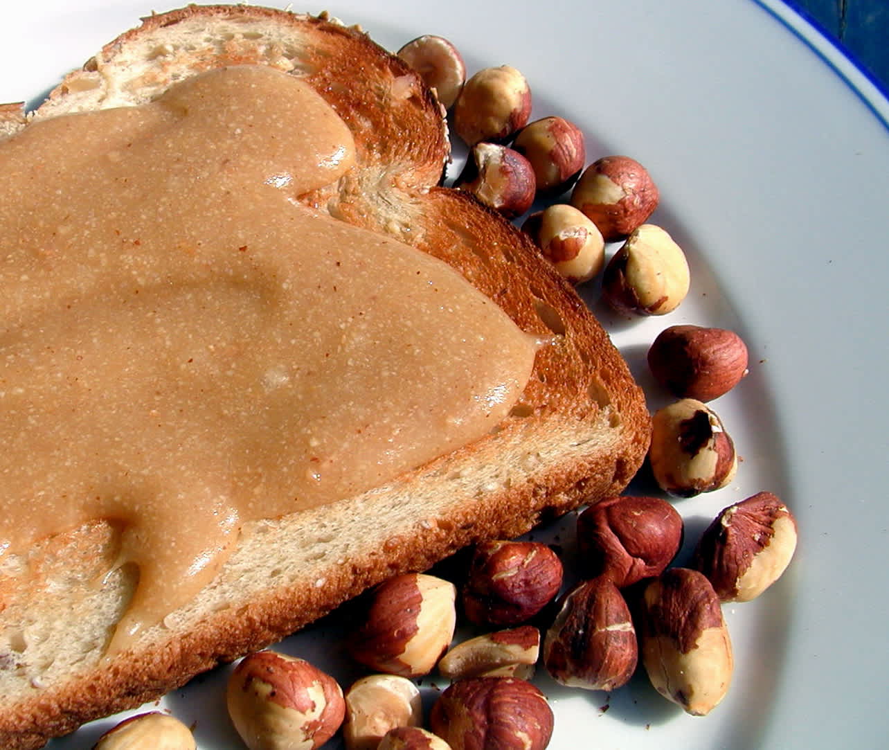 Honey Hazelnut Spread (The Anti-Nutella) Recipe - Low-cholesterol.Food.com