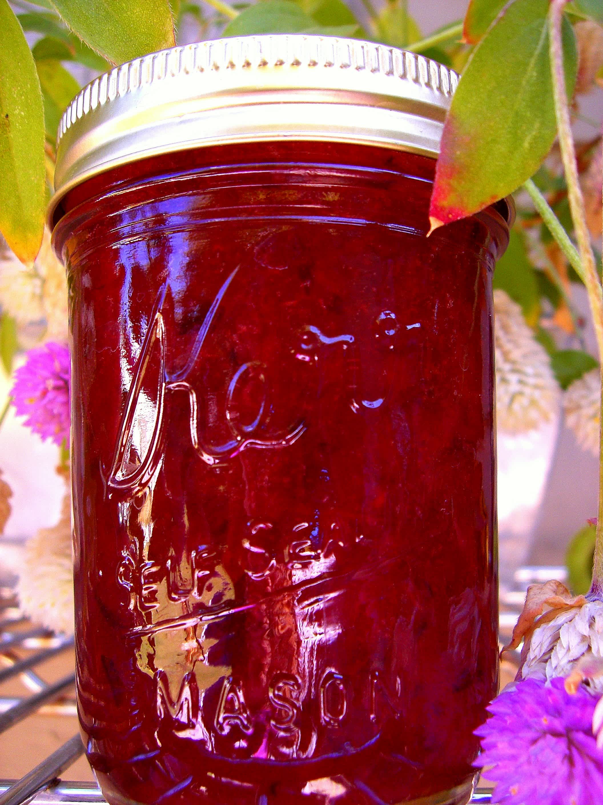 Plum Jam Recipe - Food.com