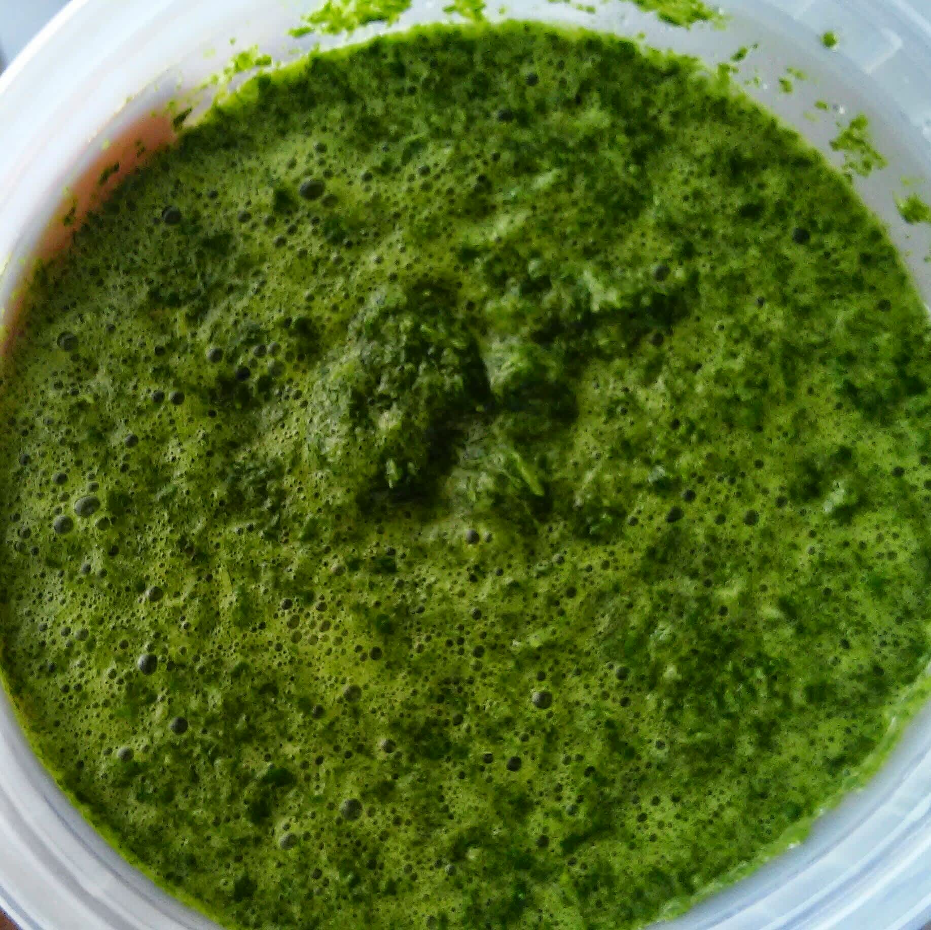 Afghani Cilantro Chutney Recipe - Food.com