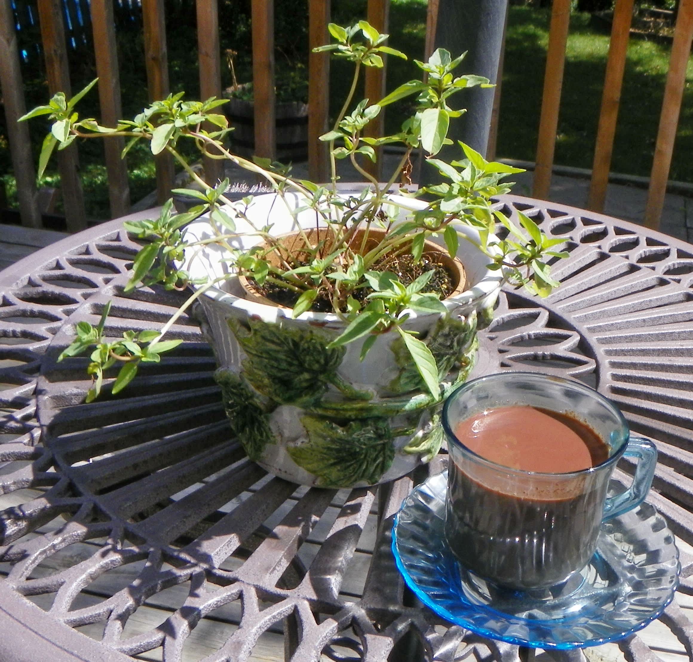 Mexican Hot Cocoa Recipe - Food.com