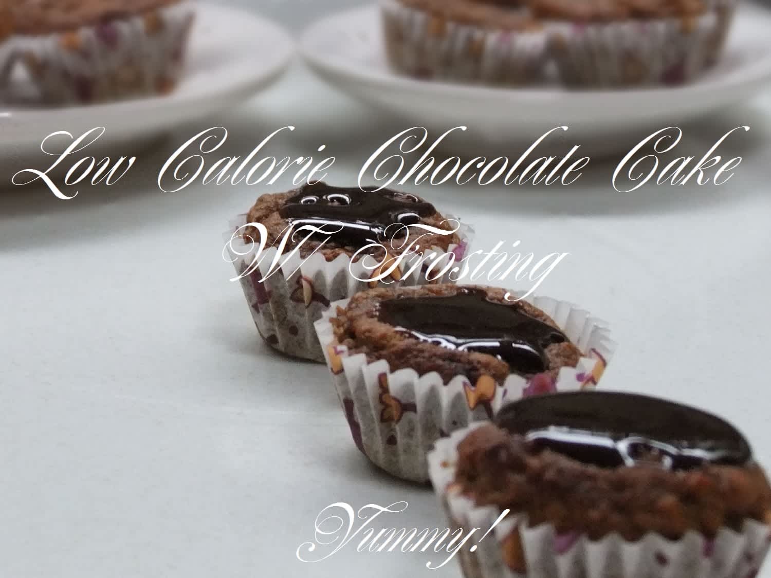 Low Calorie Chocolate Cake W/ Frosting Recipe - Food.com