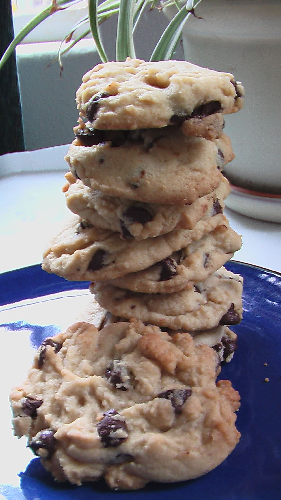 Zander's Chocolate Chip Cookies Recipe - Food.com