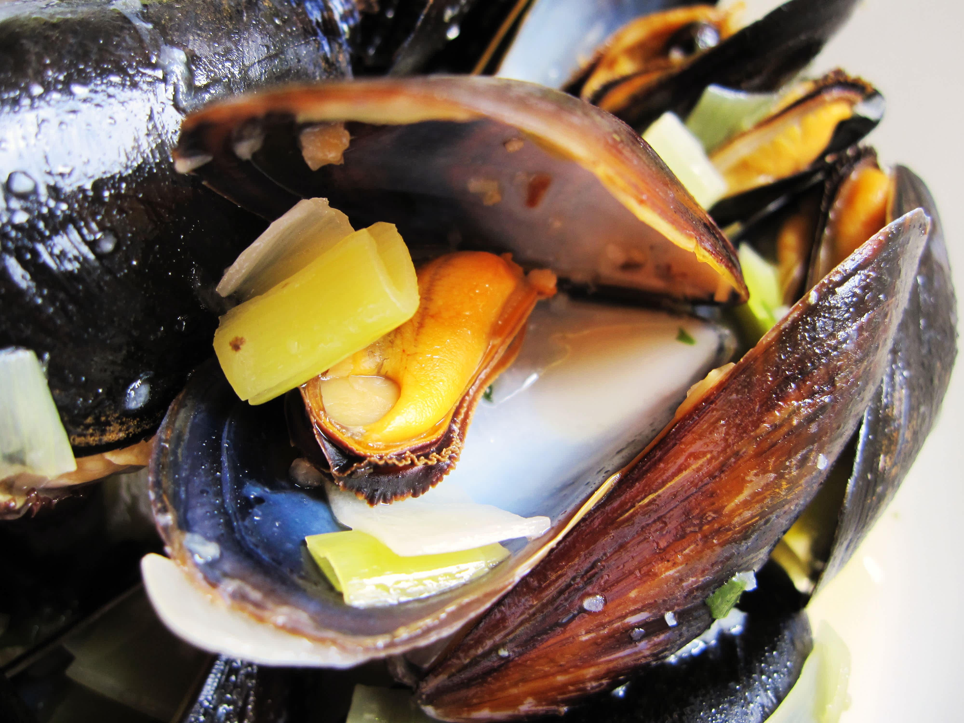 Mussels and Sweet Leeks Recipe - Food.com