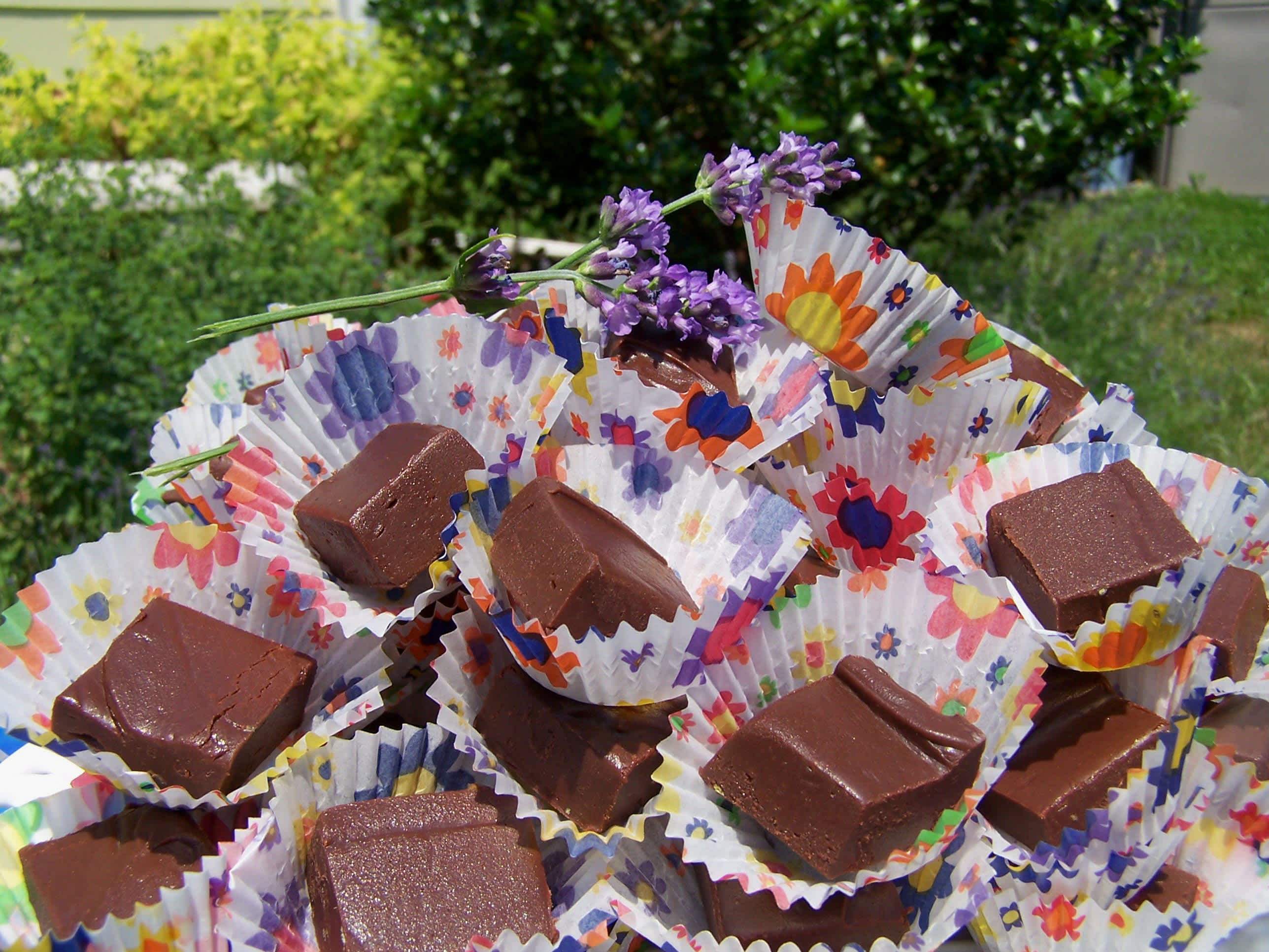 Lavender Fudge Recipe - Food.com