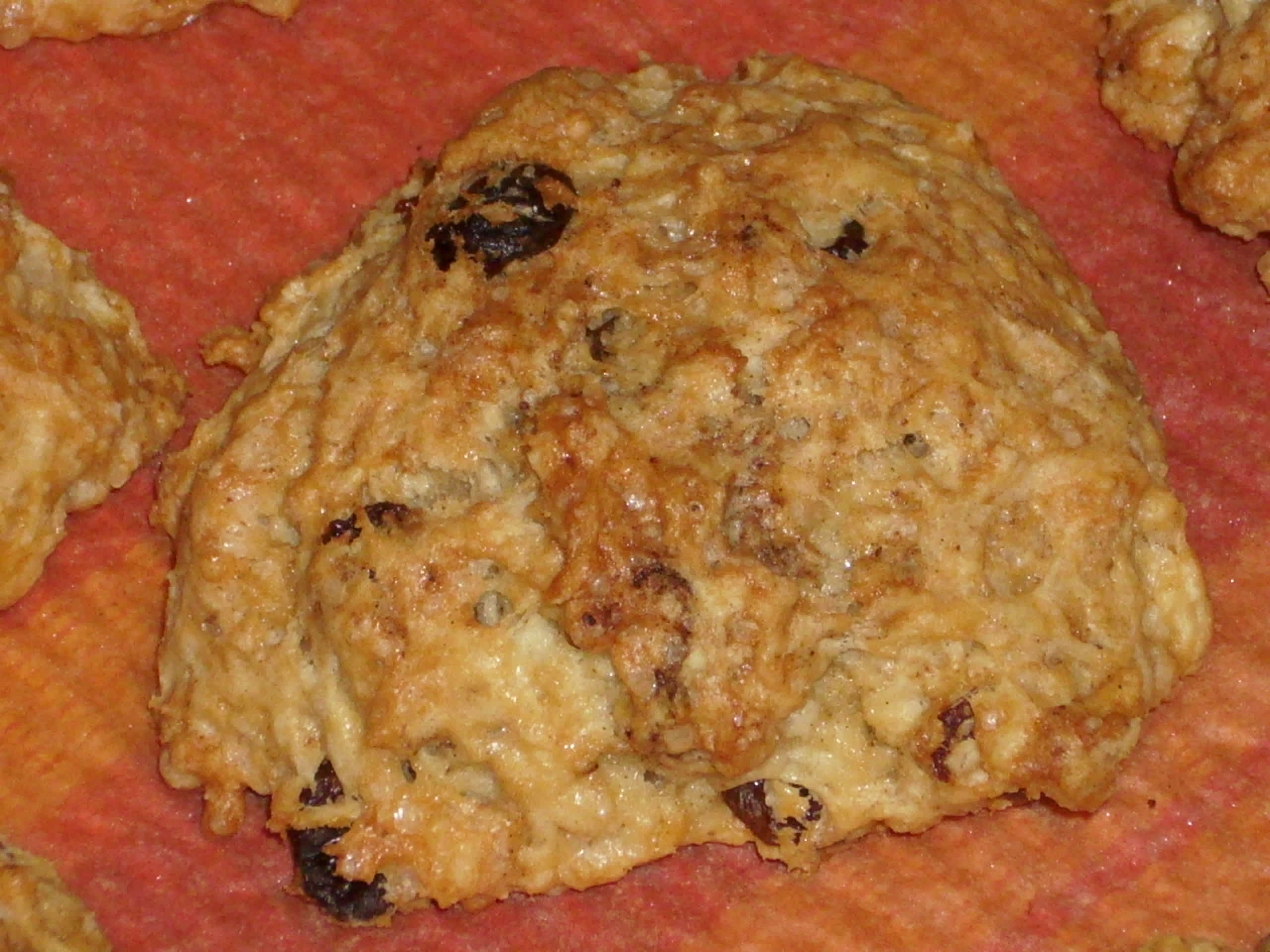 Old Fashioned Raisin Cookies (Acadian) Recipe - Food.com