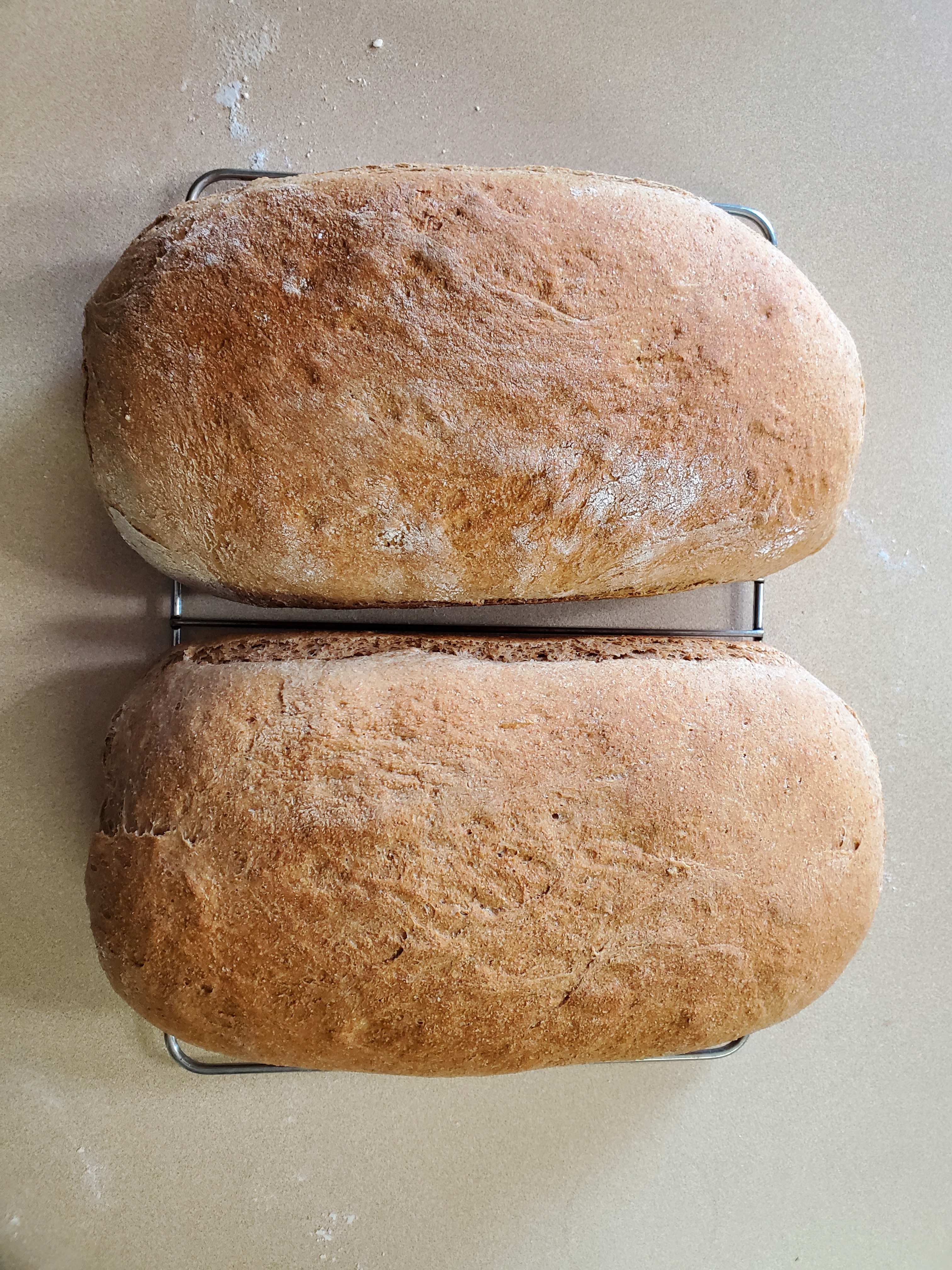 Whole Grain Wheat Bread Recipe - Food.com