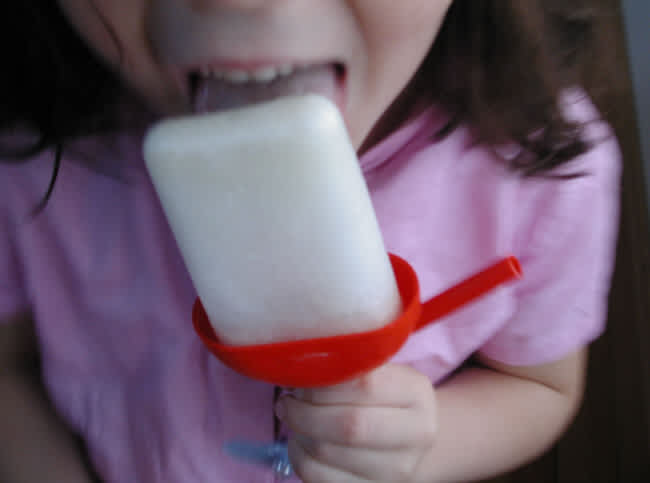 Lemonade Ice Blocks Recipe - Food.com