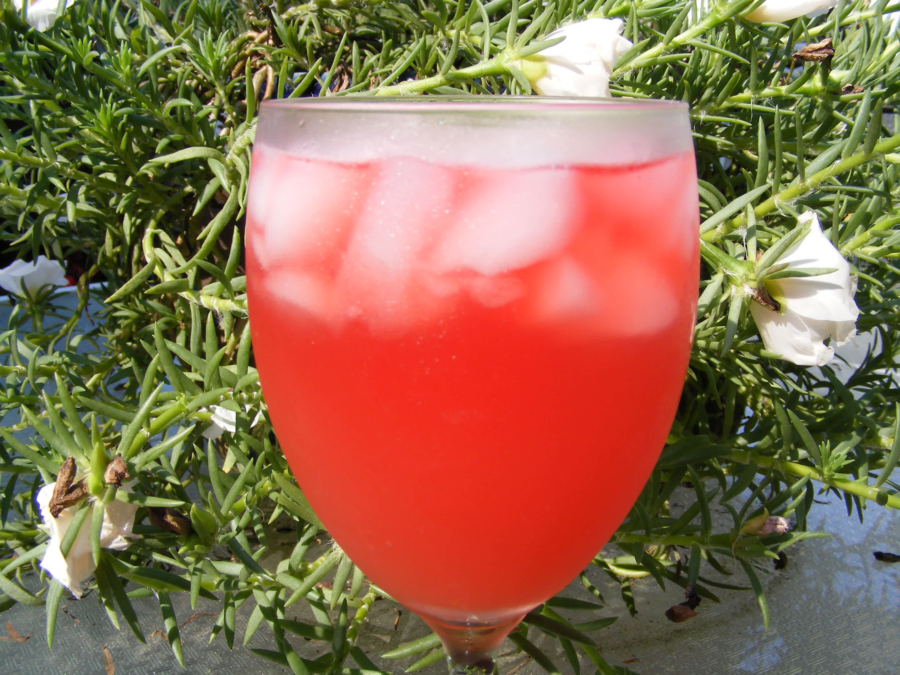 Sunset Beach Recipe - Food.com