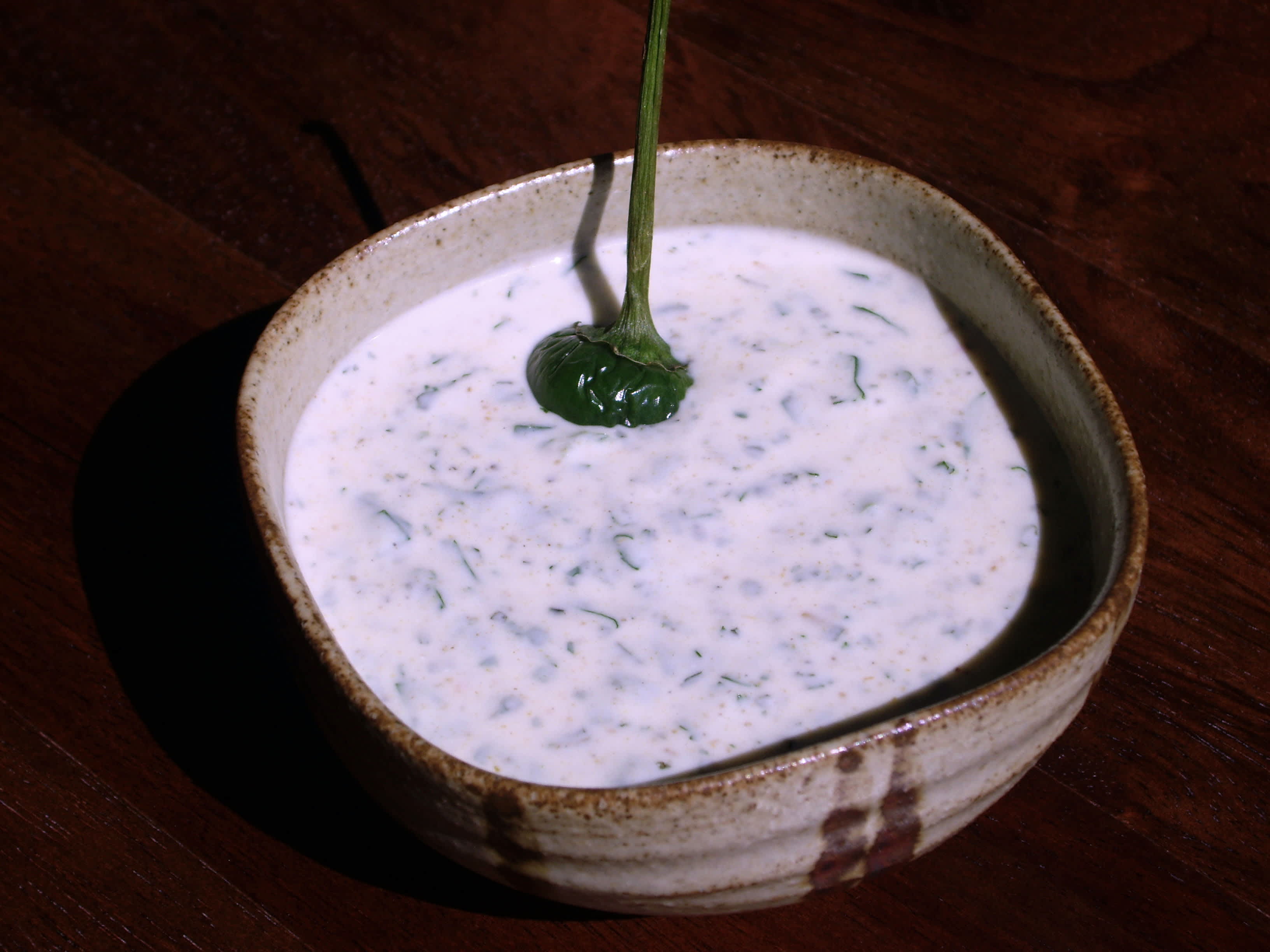 Cumin Mint & Coriander Yogurt Recipe - Food.com