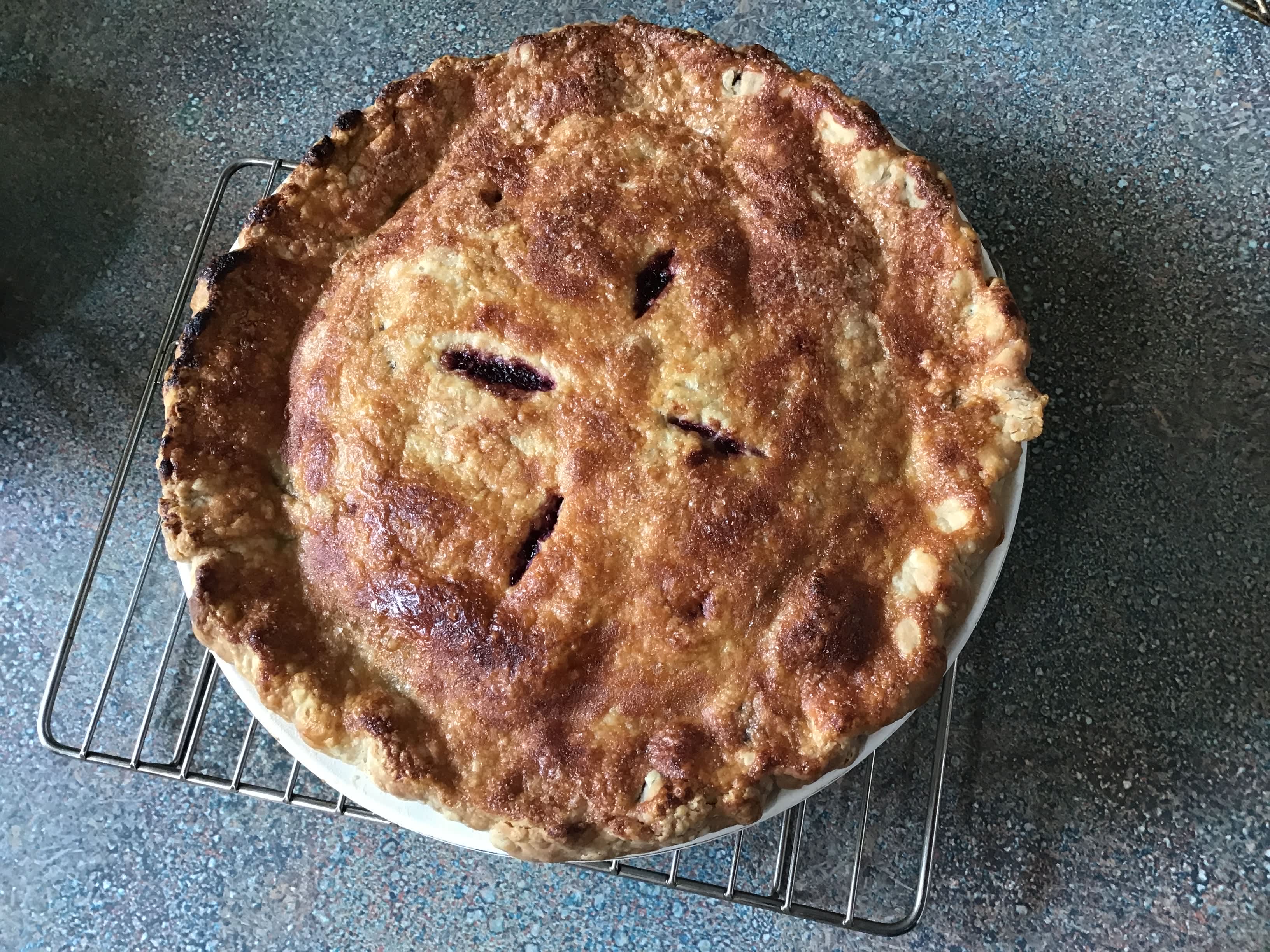 Saskatoon Pie Recipe - Food.com