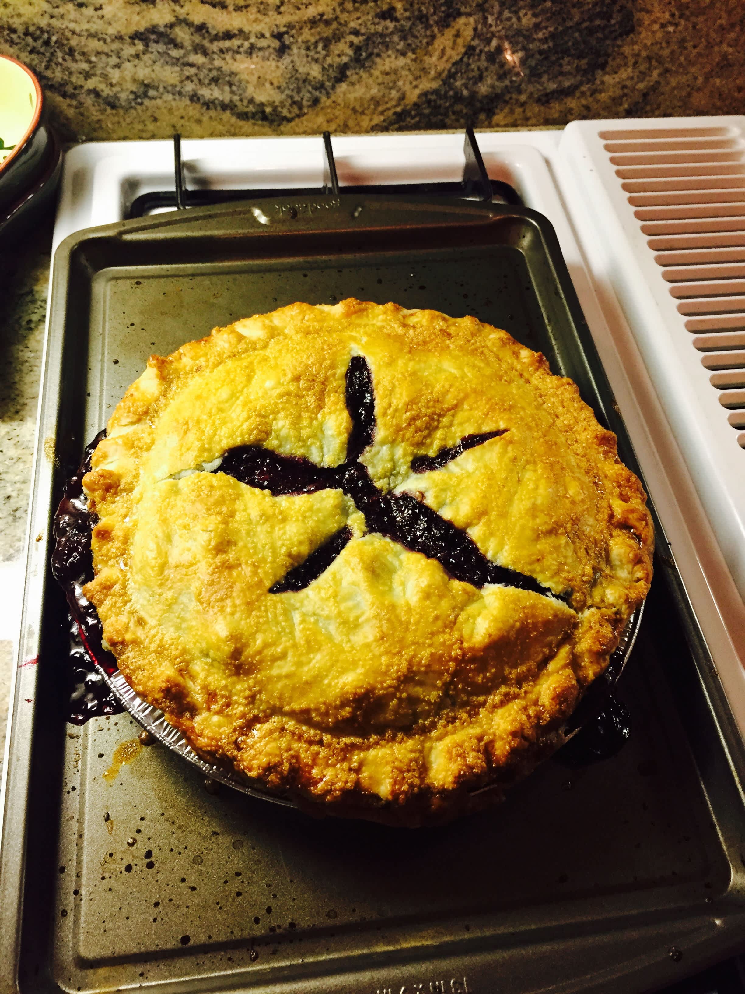 Dewberry Pie Recipe - Baking.Food.com