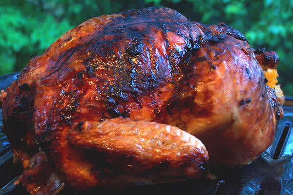 Chicken With Orange-Apricot Stuffing Recipe - Food.com