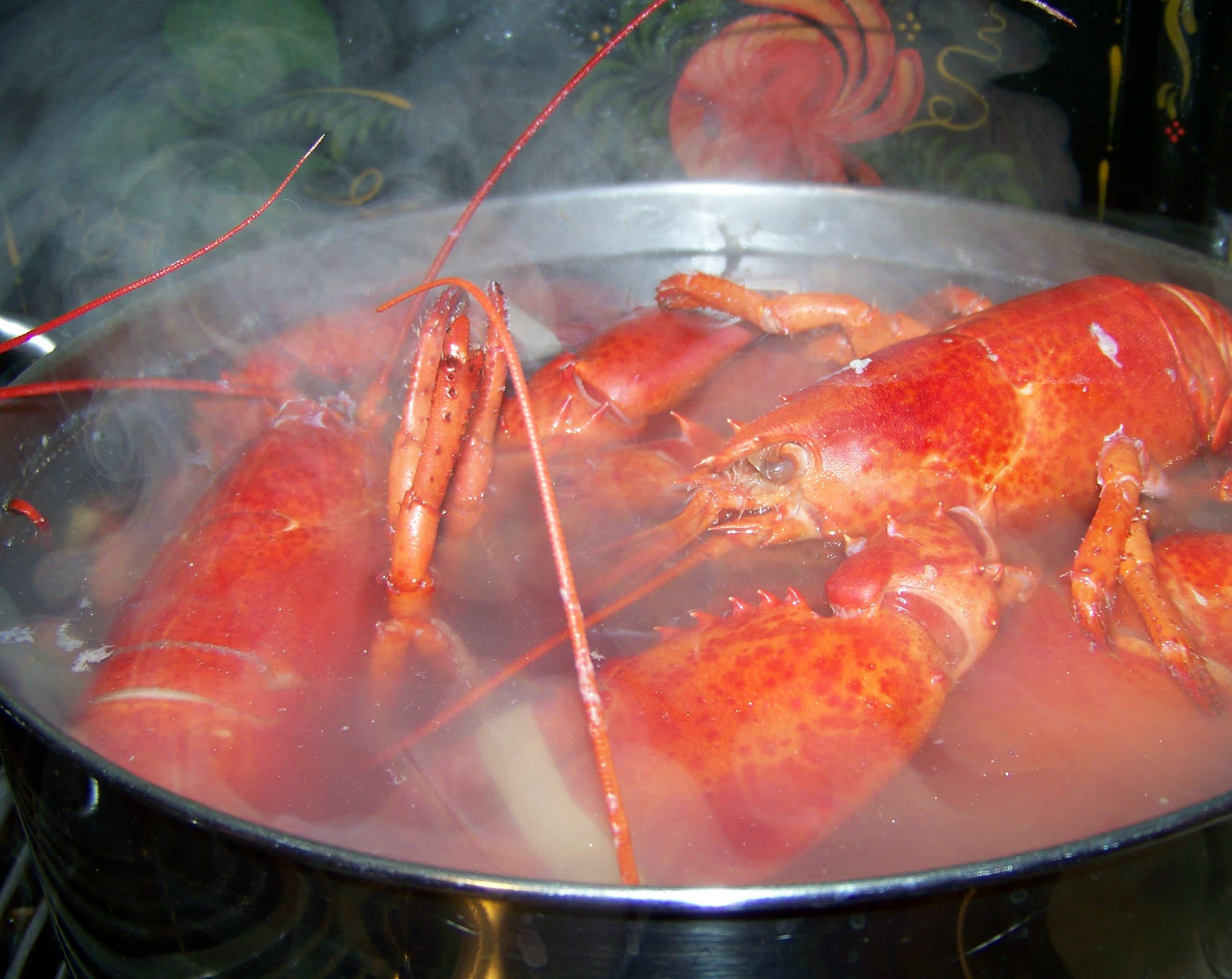 How to Boil a Lobster Recipe - Food.com