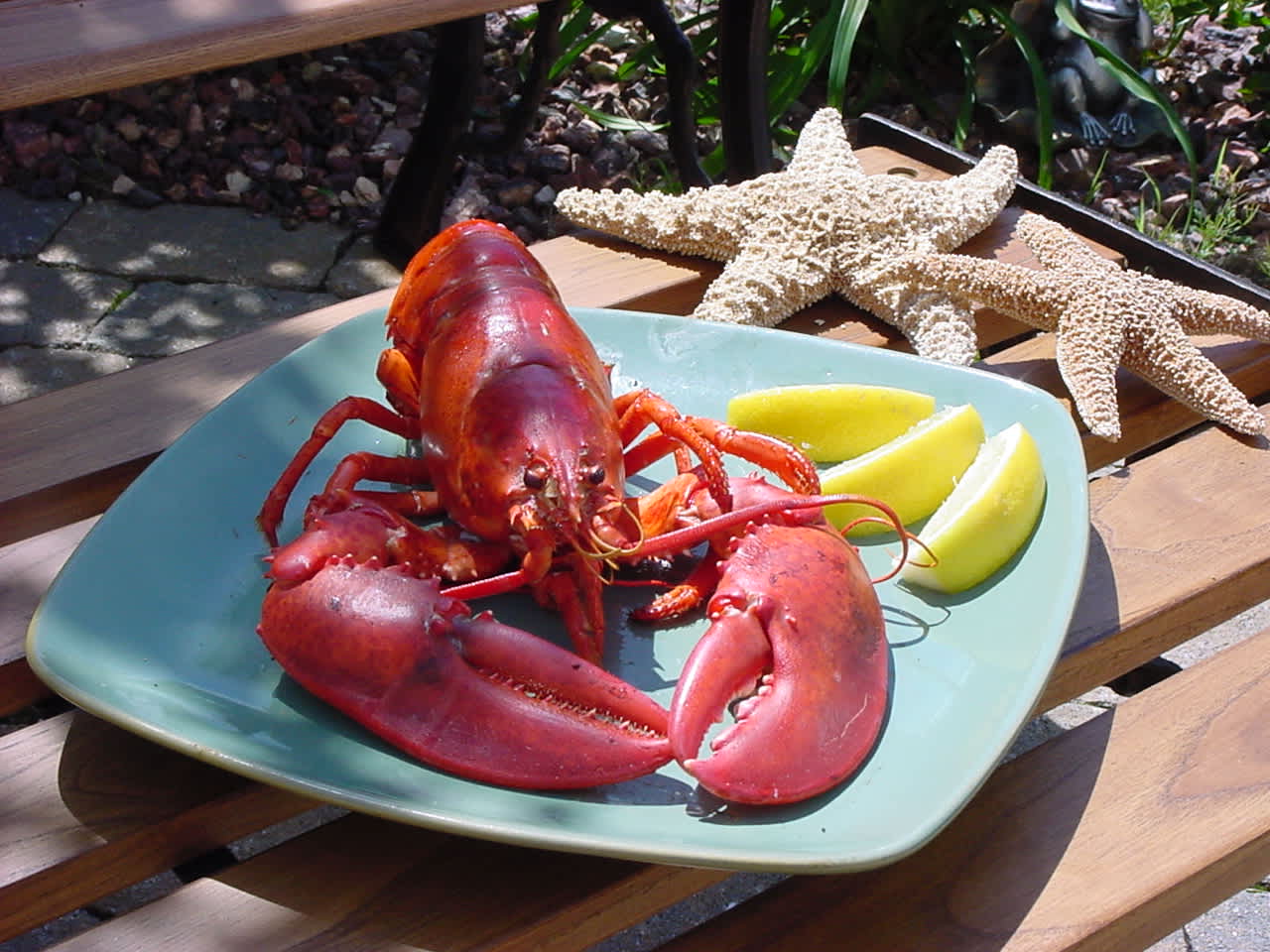 Grilled Lobster Recipe - Food.com