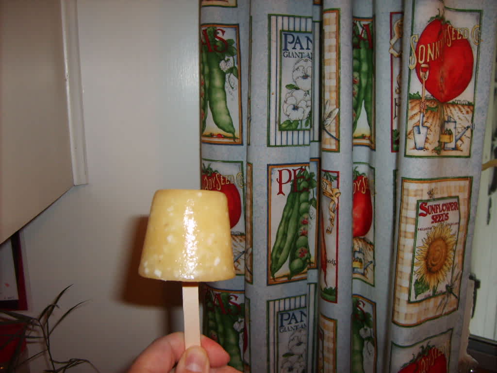 Tropical Popsicle Recipe - Food.com