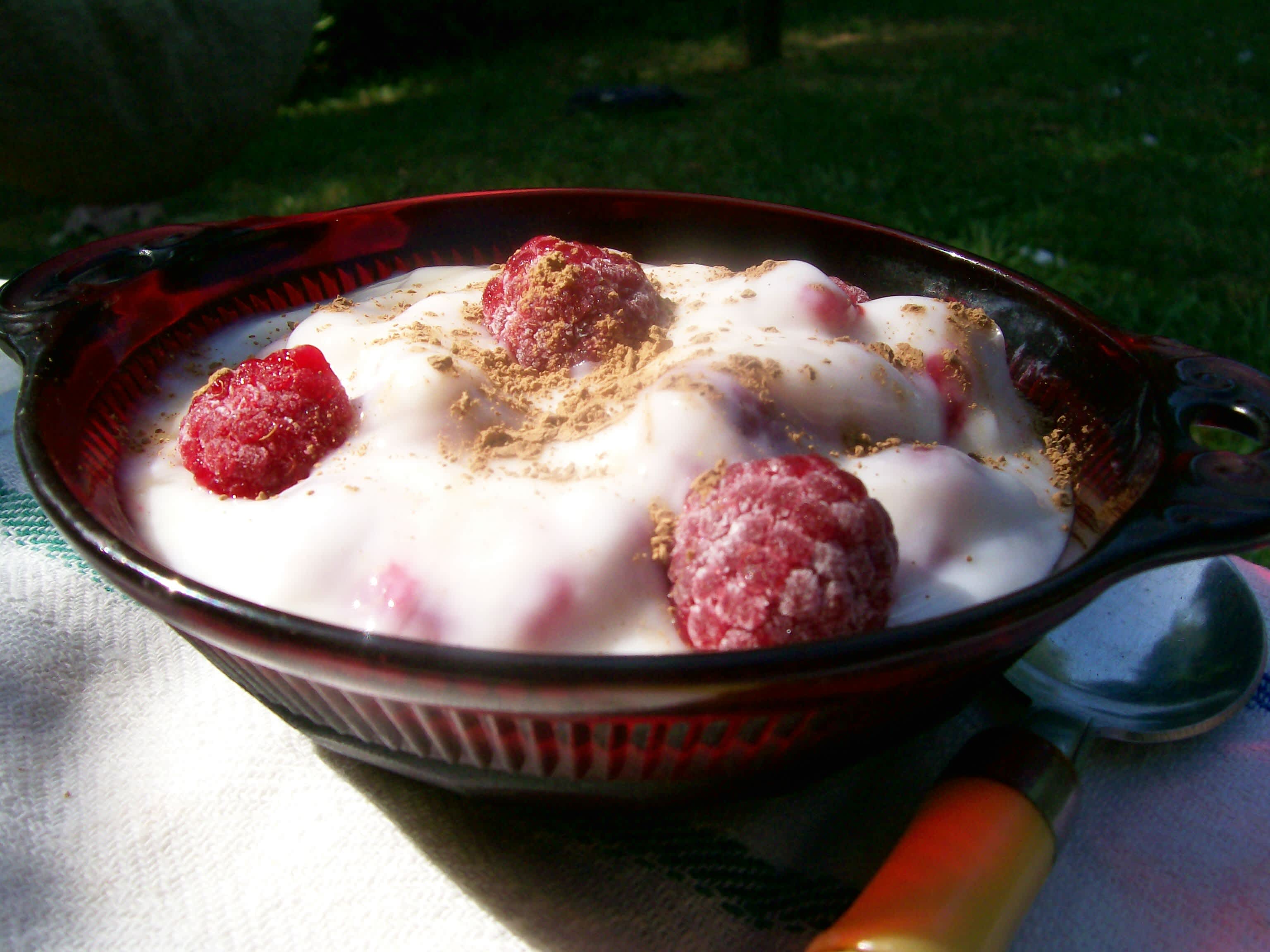 Quick and Healthy Raspberry Yogurt Treat Recipe - Food.com