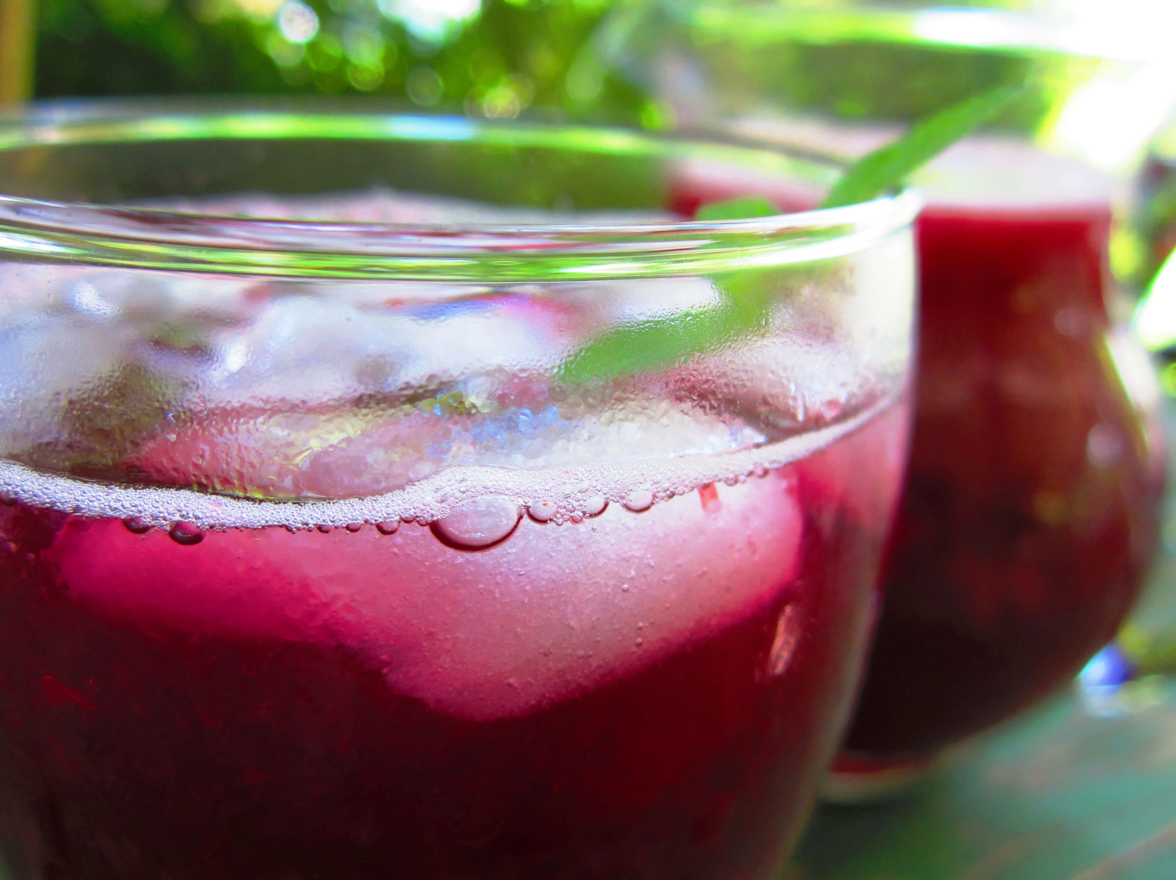 Blueberry-Lemon Iced Tea Recipe - Blue.Food.com
