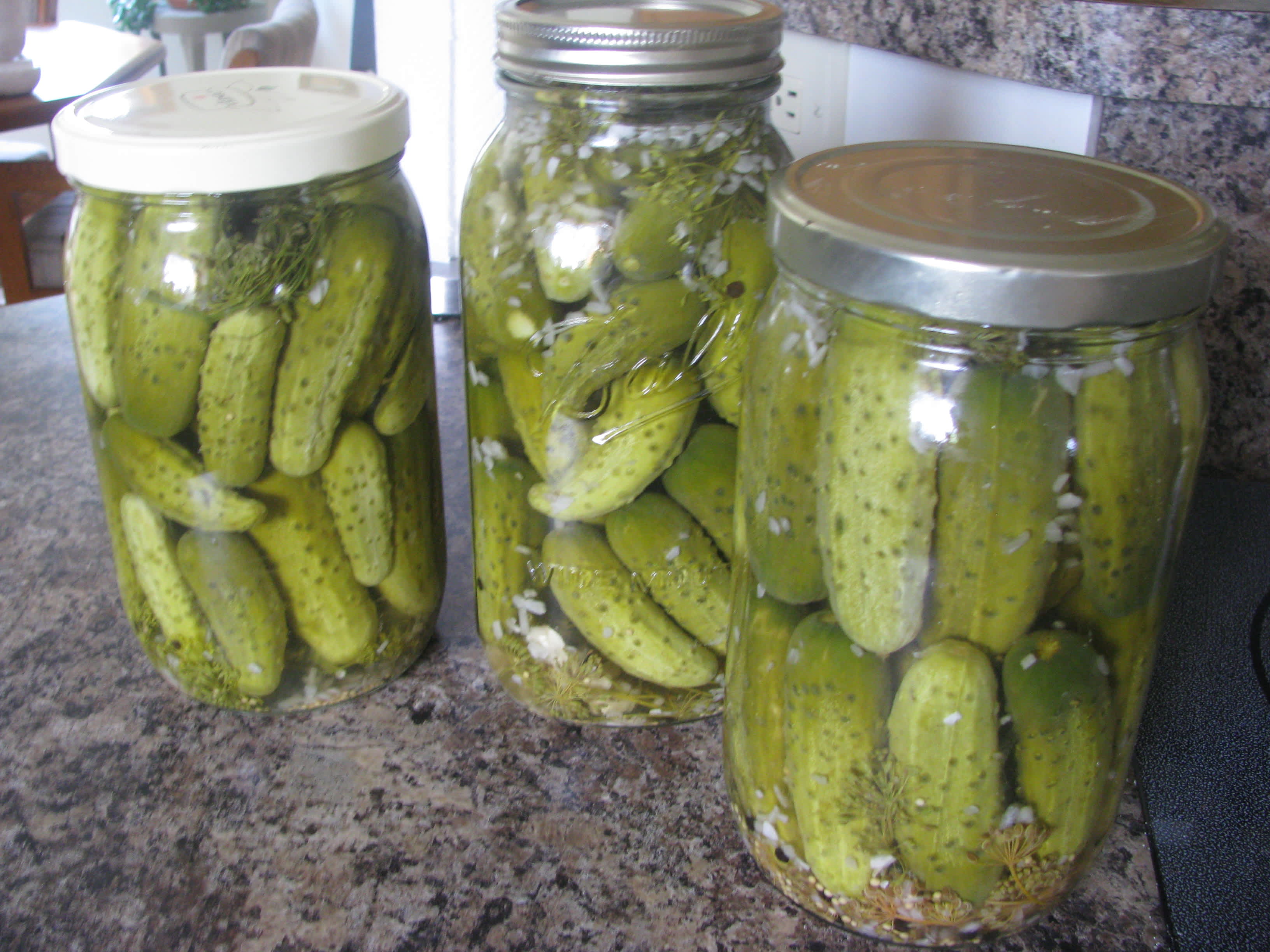 Claussen Kosher Pickle Copycat Recipe - Food.com