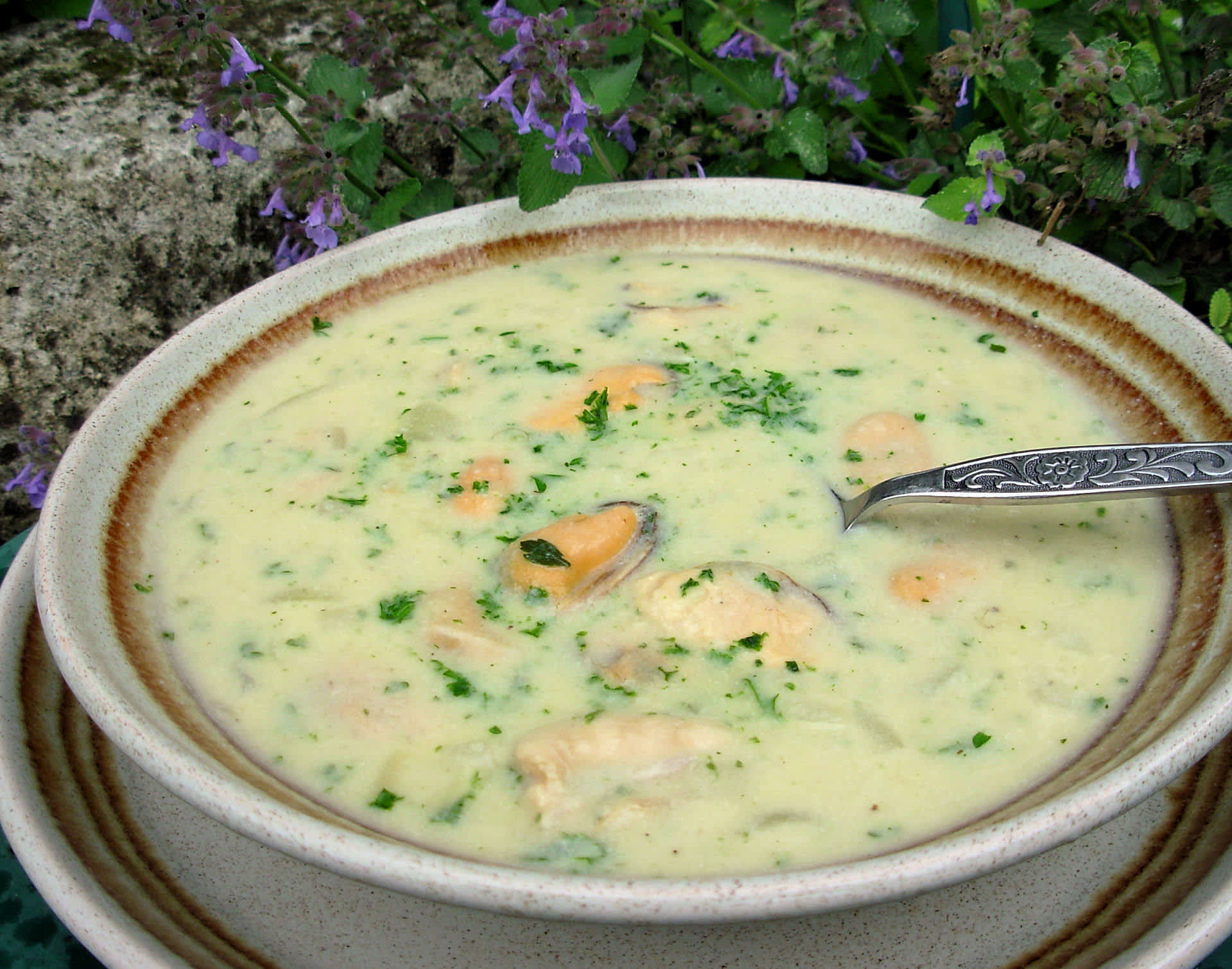 Creamy Mussel Soup Recipe - Food.com