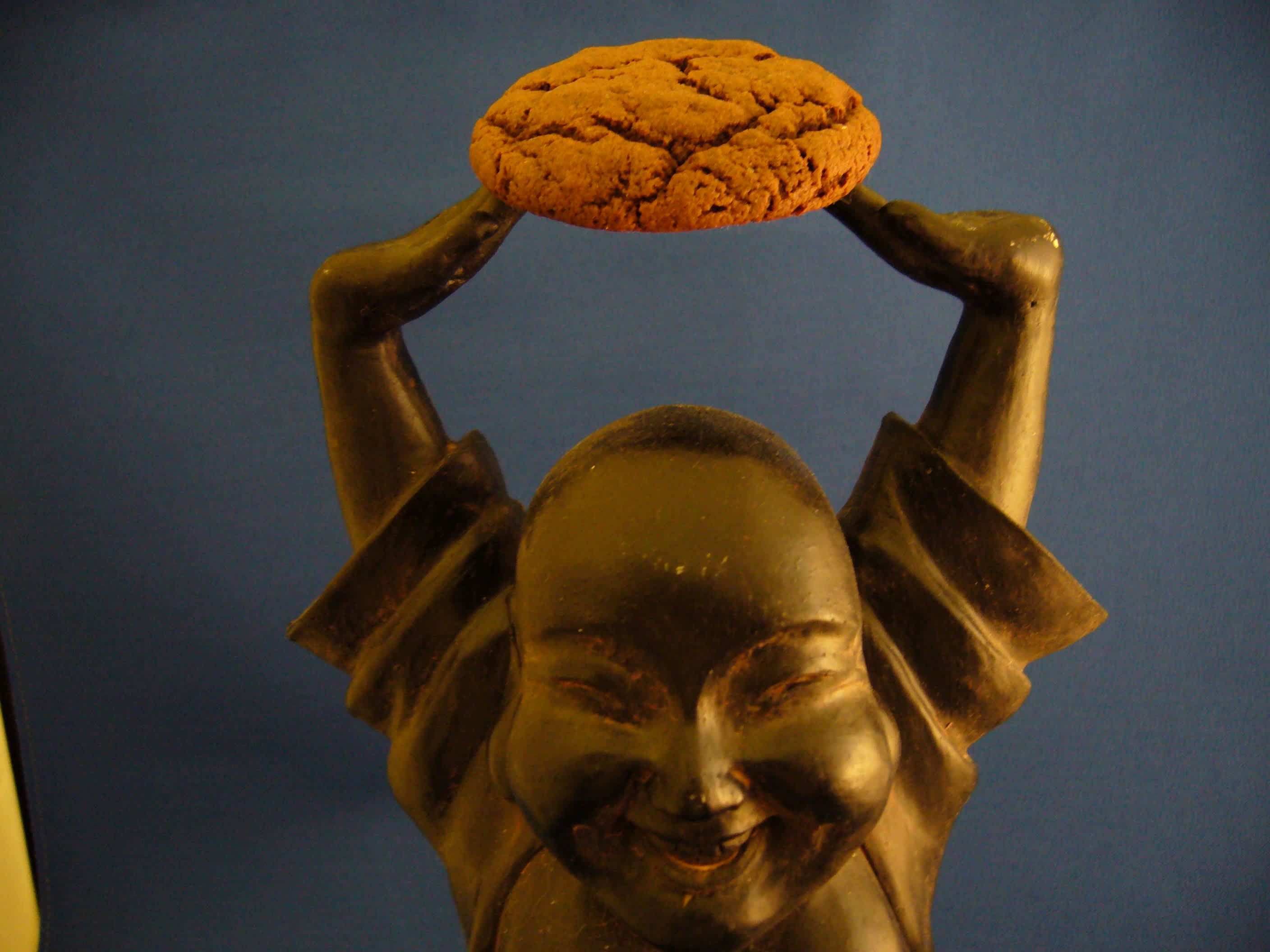 Buddha's Ultimately Moist Chocolate Cookies Recipe - Food.com