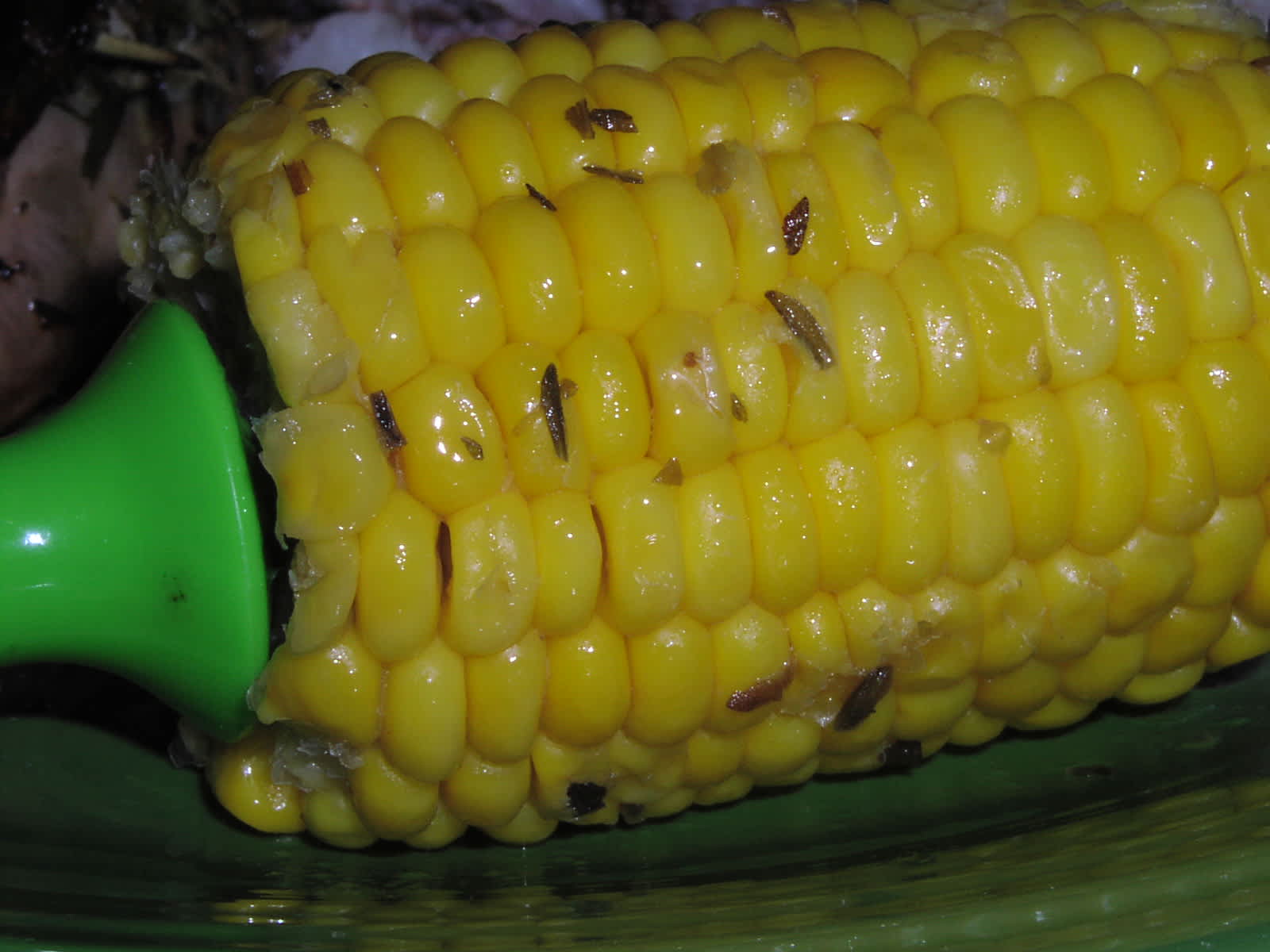 Roasted Corn With Oregano Recipe - Food.com
