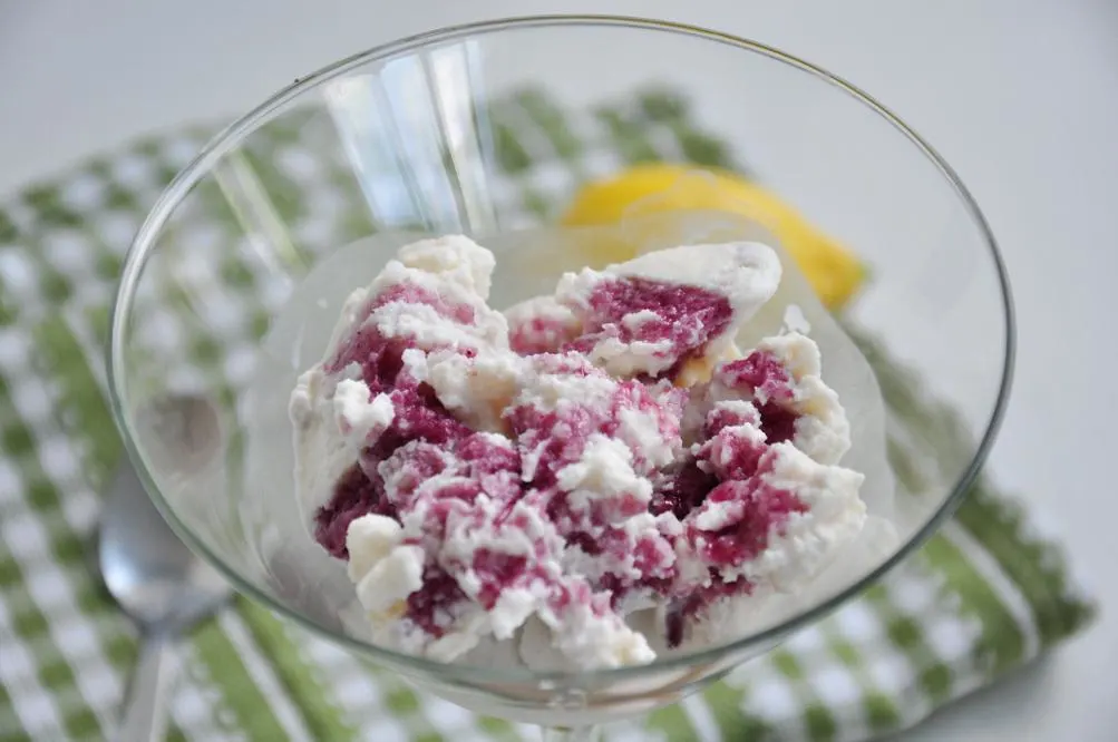 Homemade Ice Cream...in a Bag! Recipe - Food.com