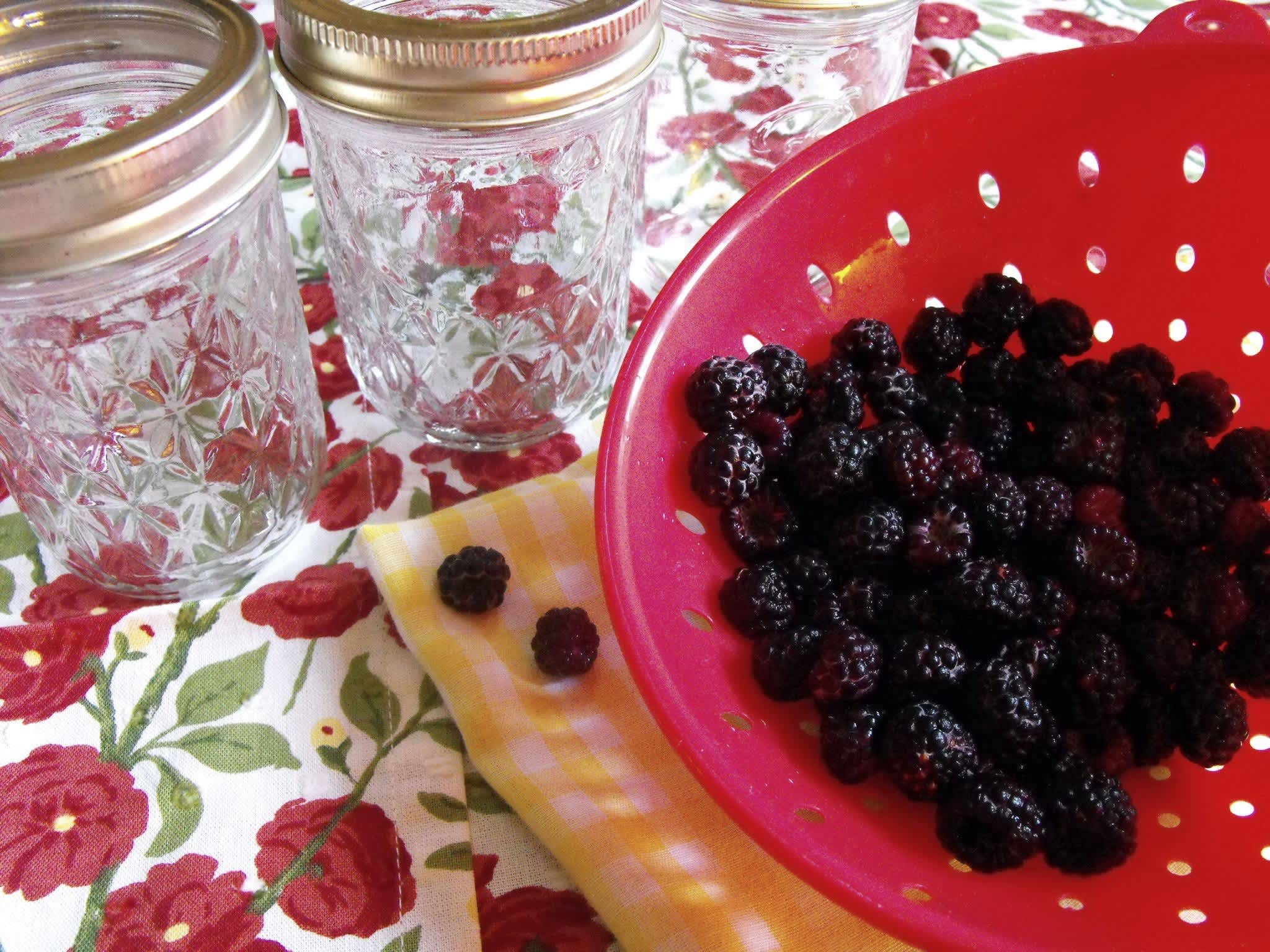 Raspberry Jam Recipe - Food.com