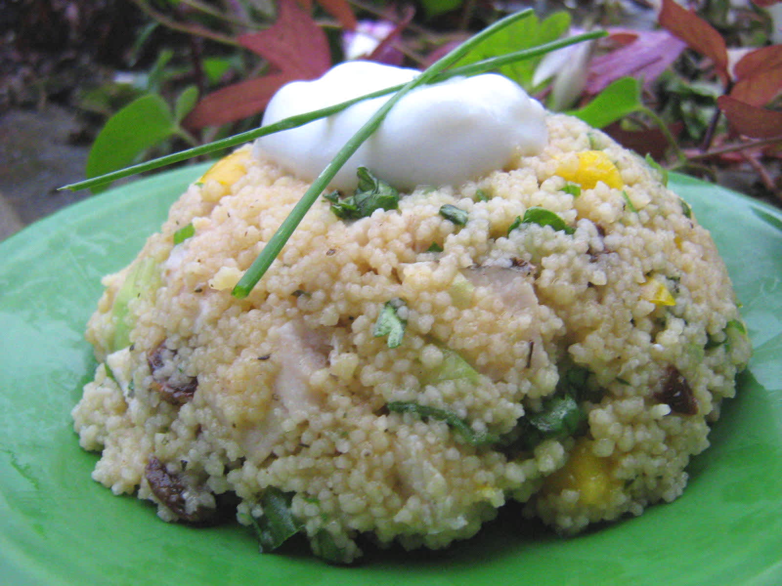 North African Chicken and Couscous Recipe - Food.com