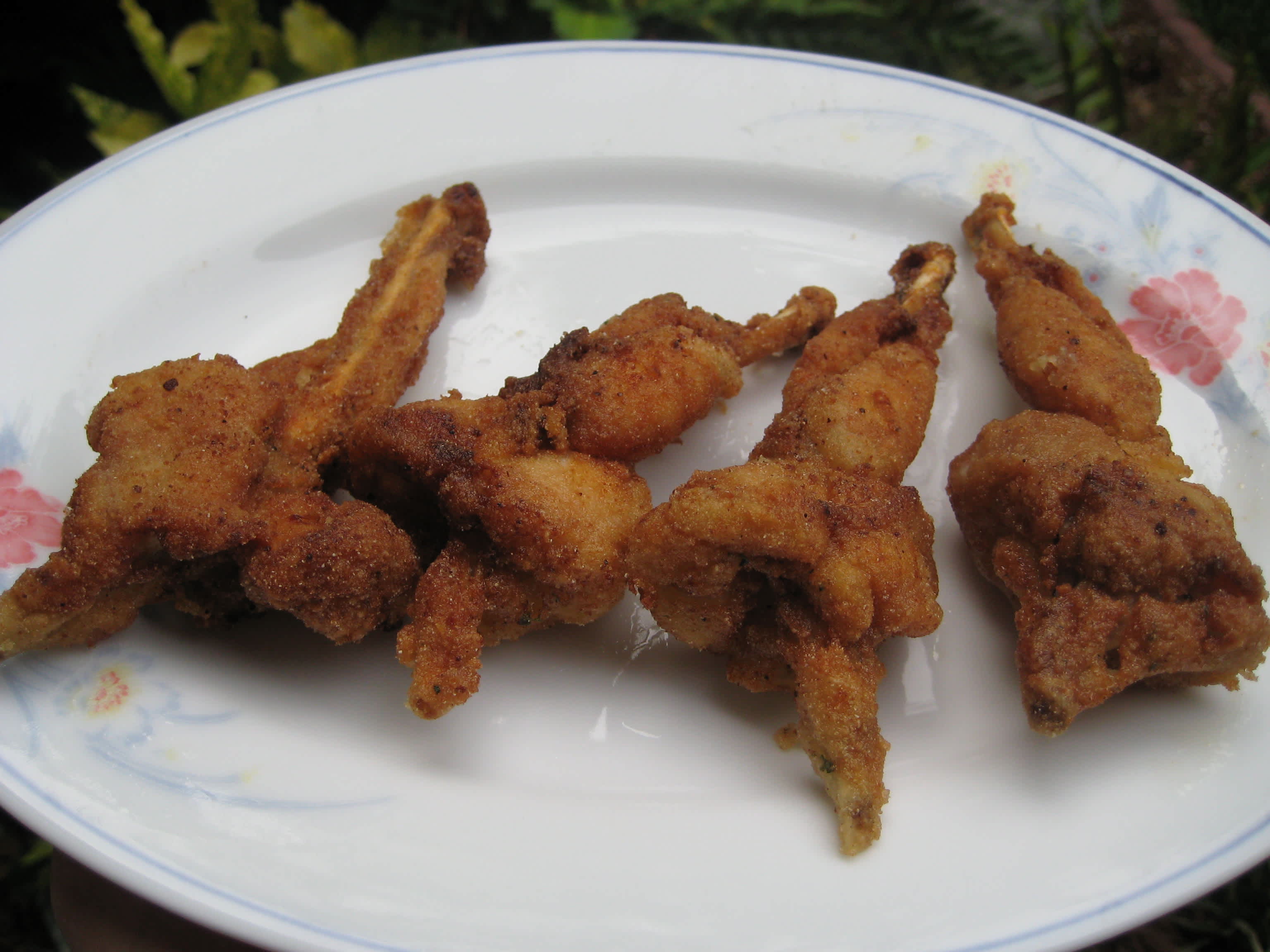 fried frog legs
