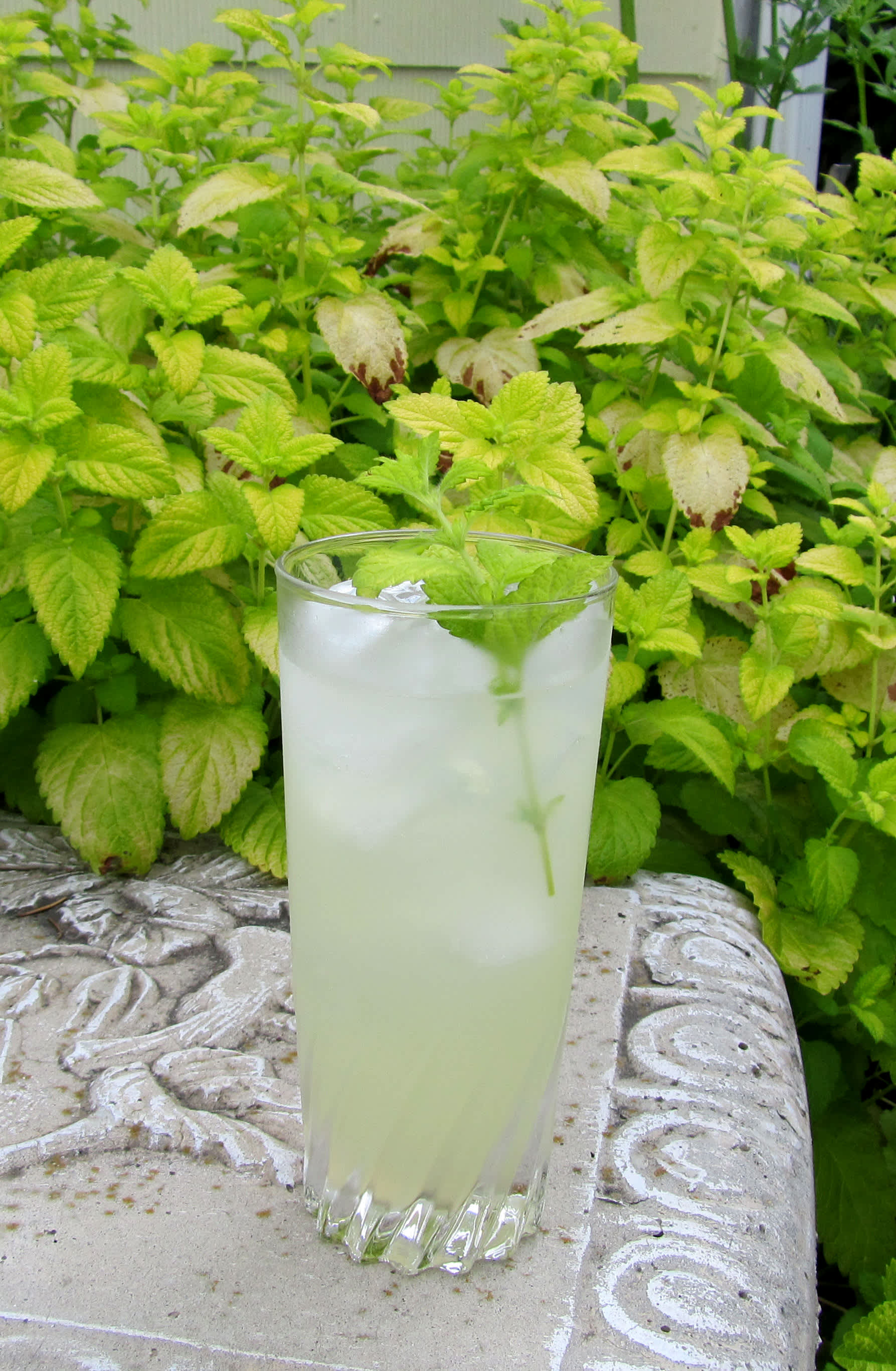 Old-Fashioned Lemon Balm Lemonade Recipe - Food.com