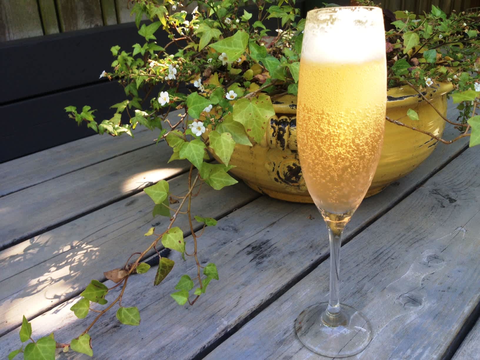 Baby Bellini Recipe - Food.com