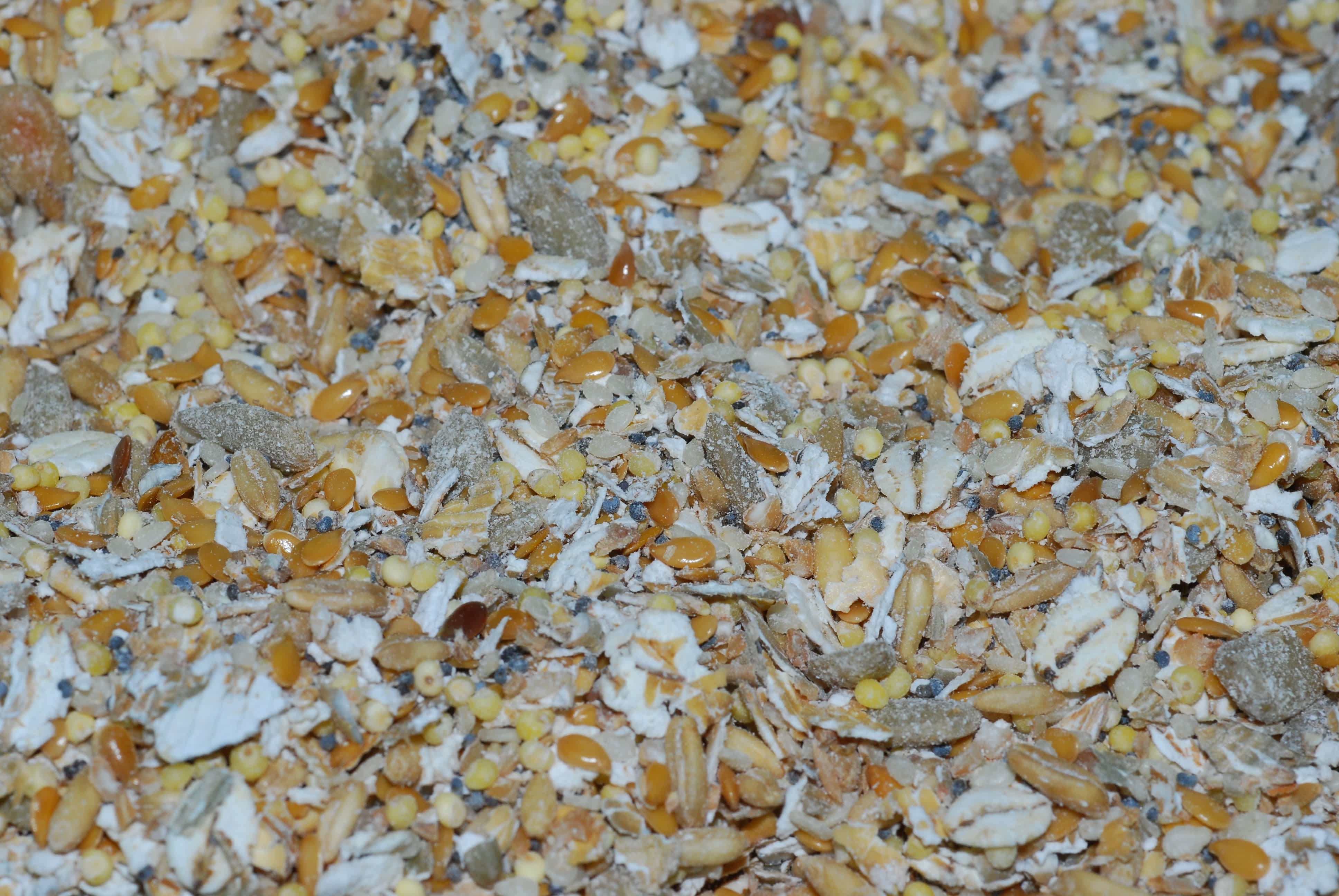 Harvest Grain Blend for Bread Recipe - Food.com