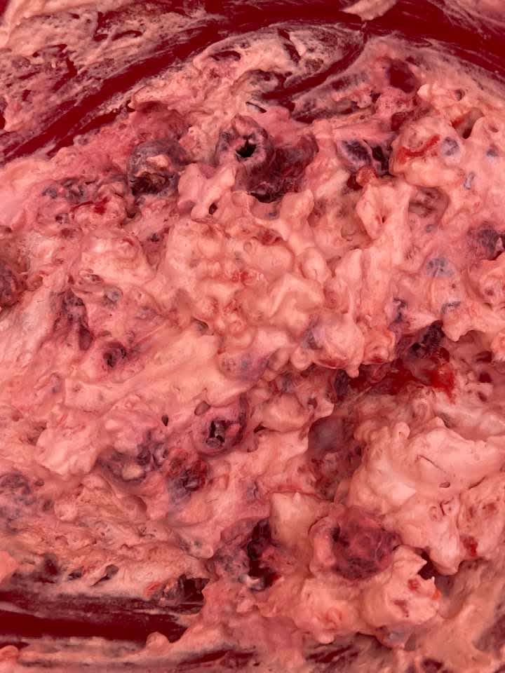 Raspberry Tapioca Pudding Dessert Recipe - Food.com