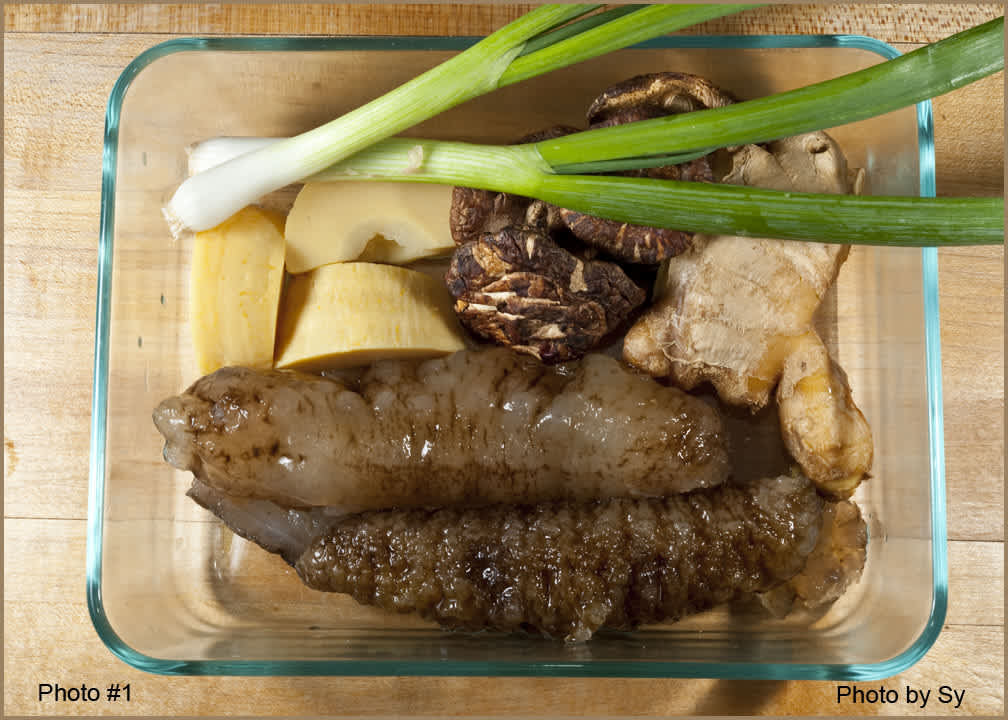 how to draw a sea cucumber for kids