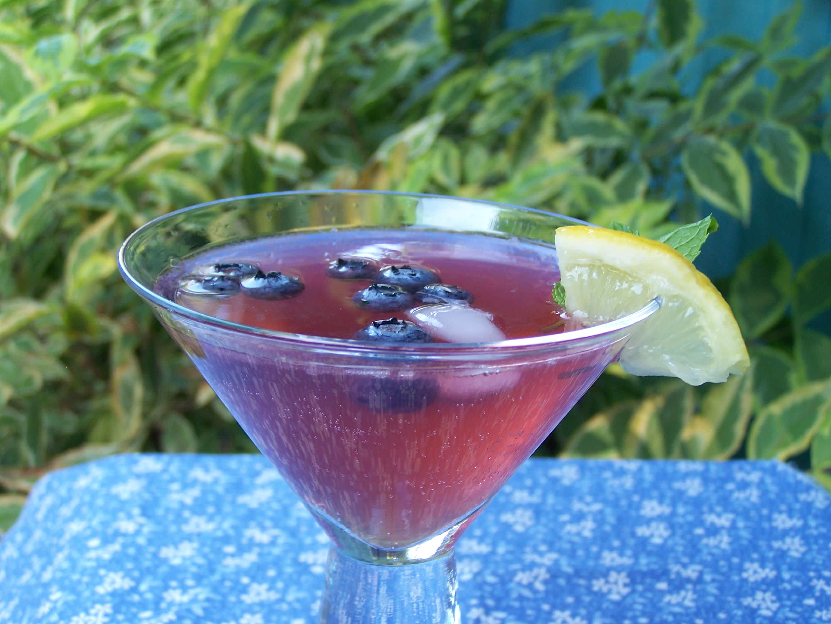 Lively Lemon Gin Tonic Recipe - Food.com