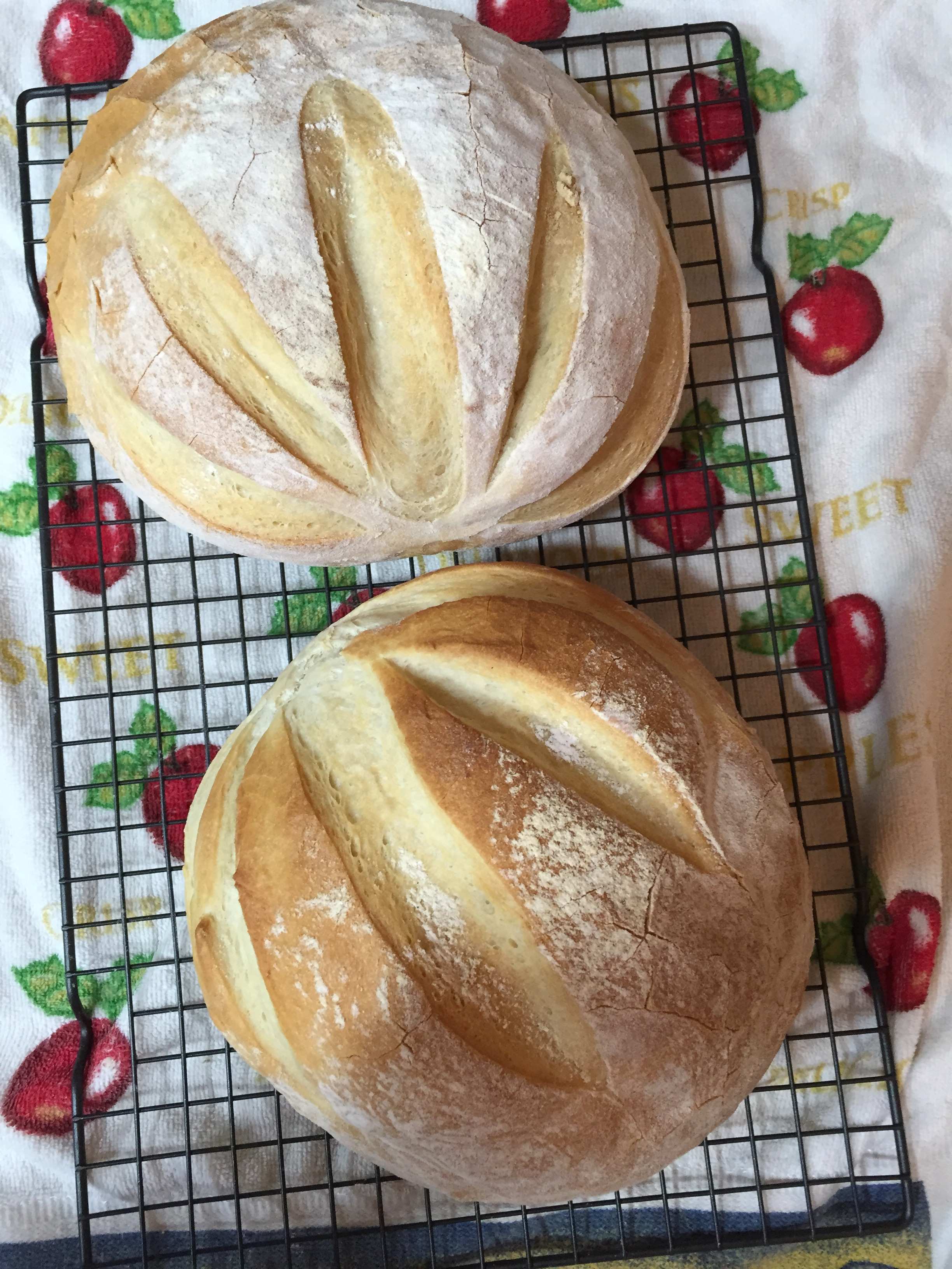 "Old Reliable" French Bread (for Kitchen Aid Mixers) Recipe - Food.com