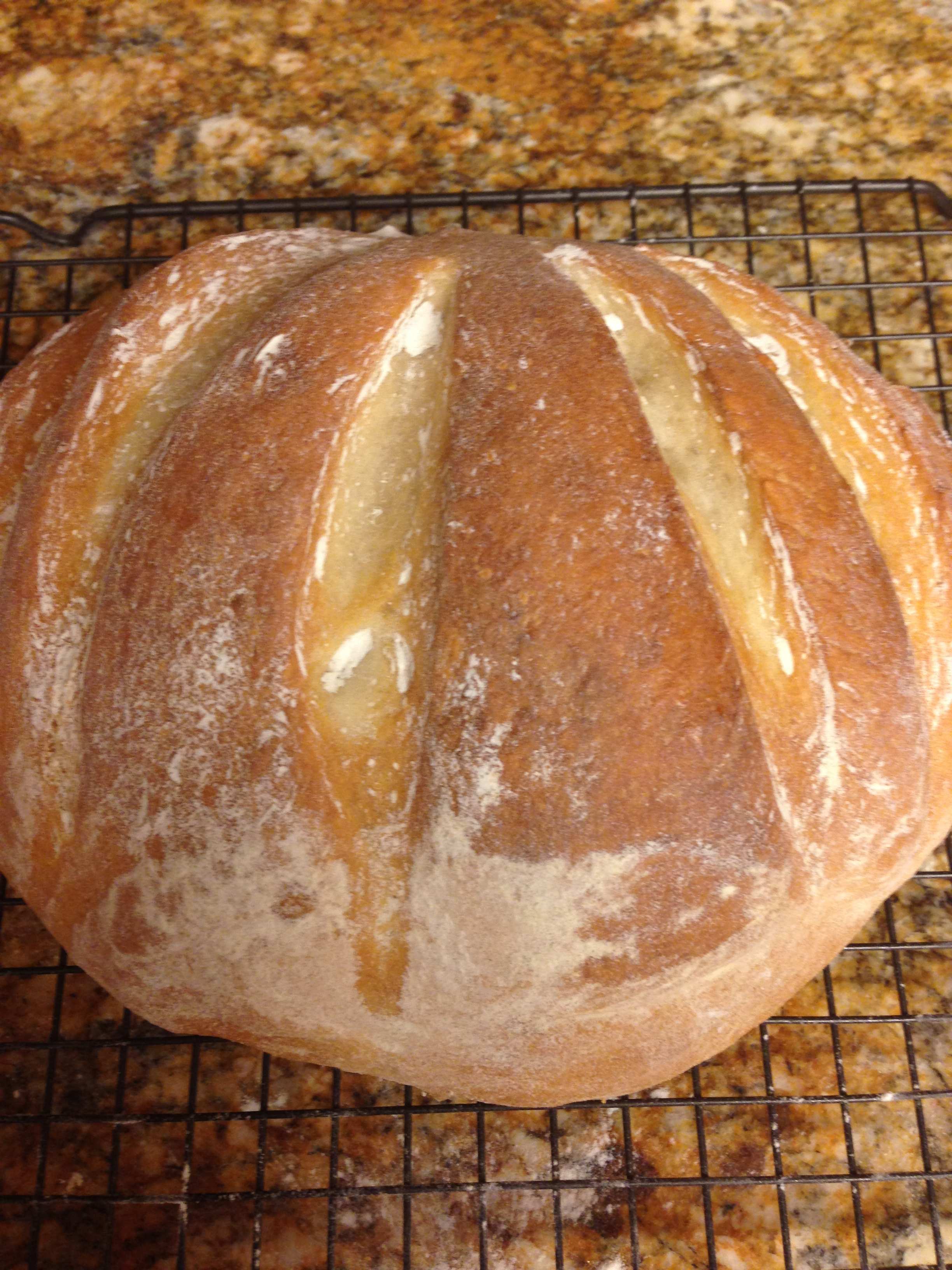 "Old Reliable" French Bread (for Kitchen Aid Mixers) Recipe - Food.com