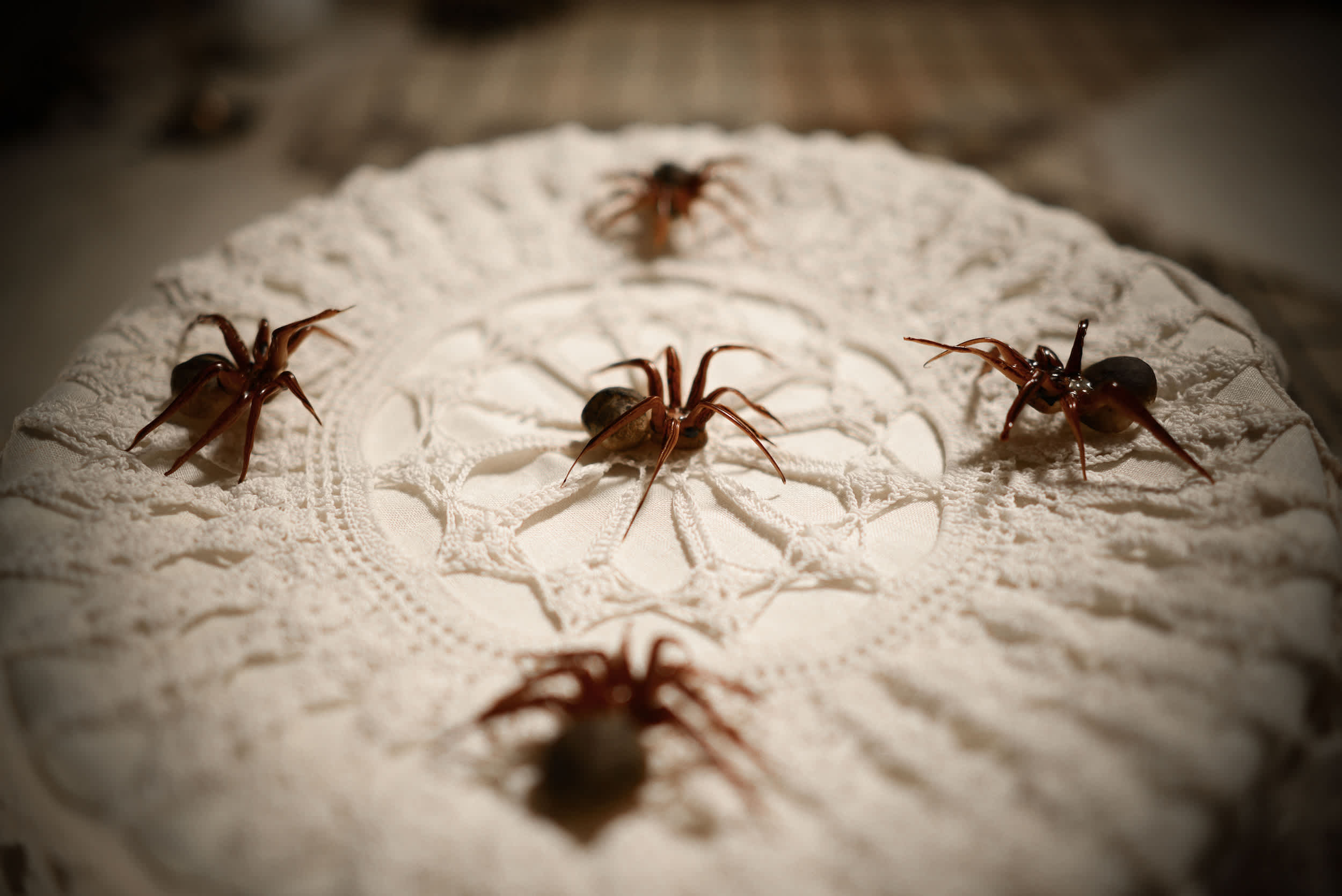 Caramel Nut Brown Recluse Spiders Recipe - Food.com