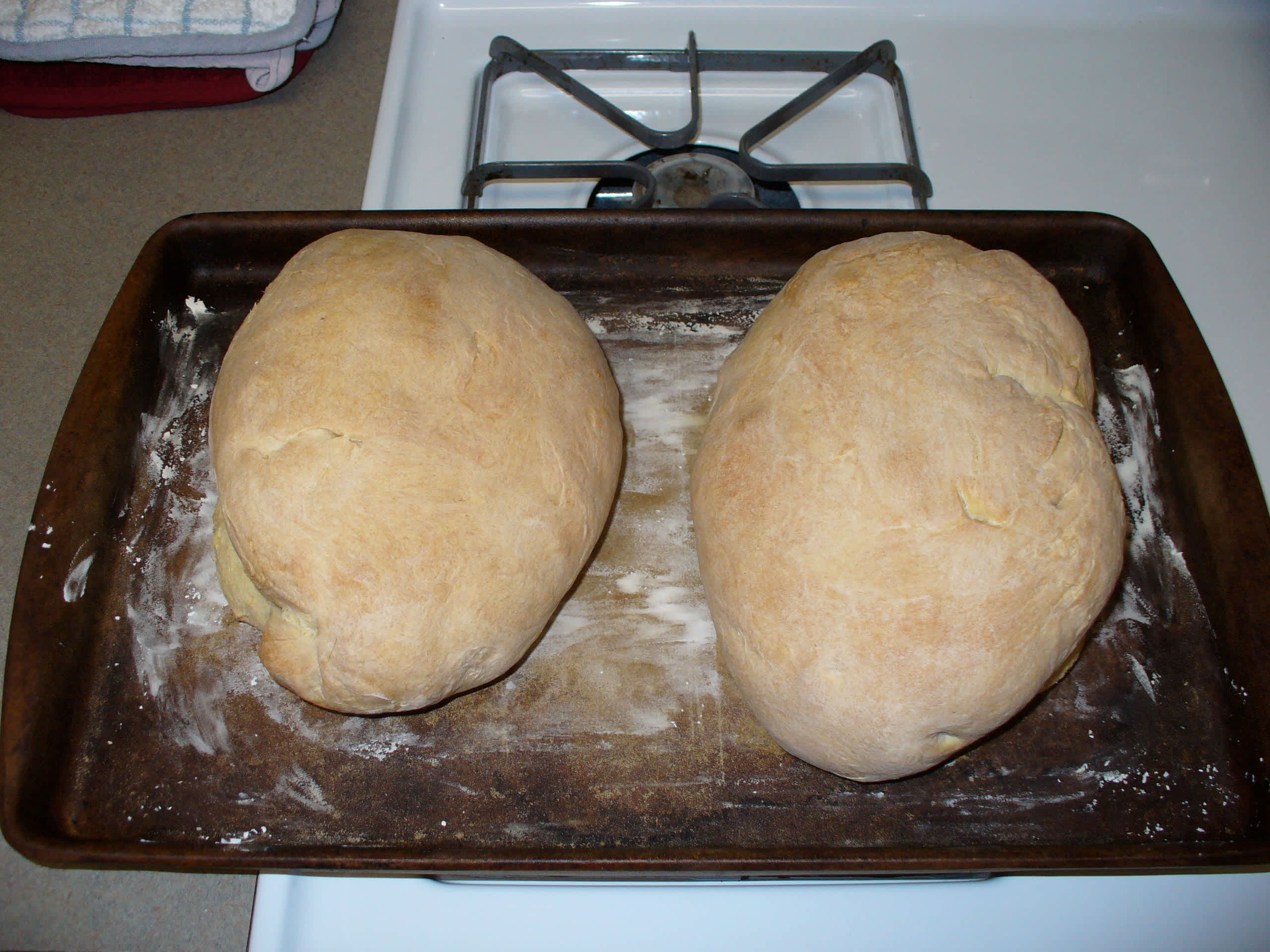 Cara's Cuban Bread Recipe - Food.com
