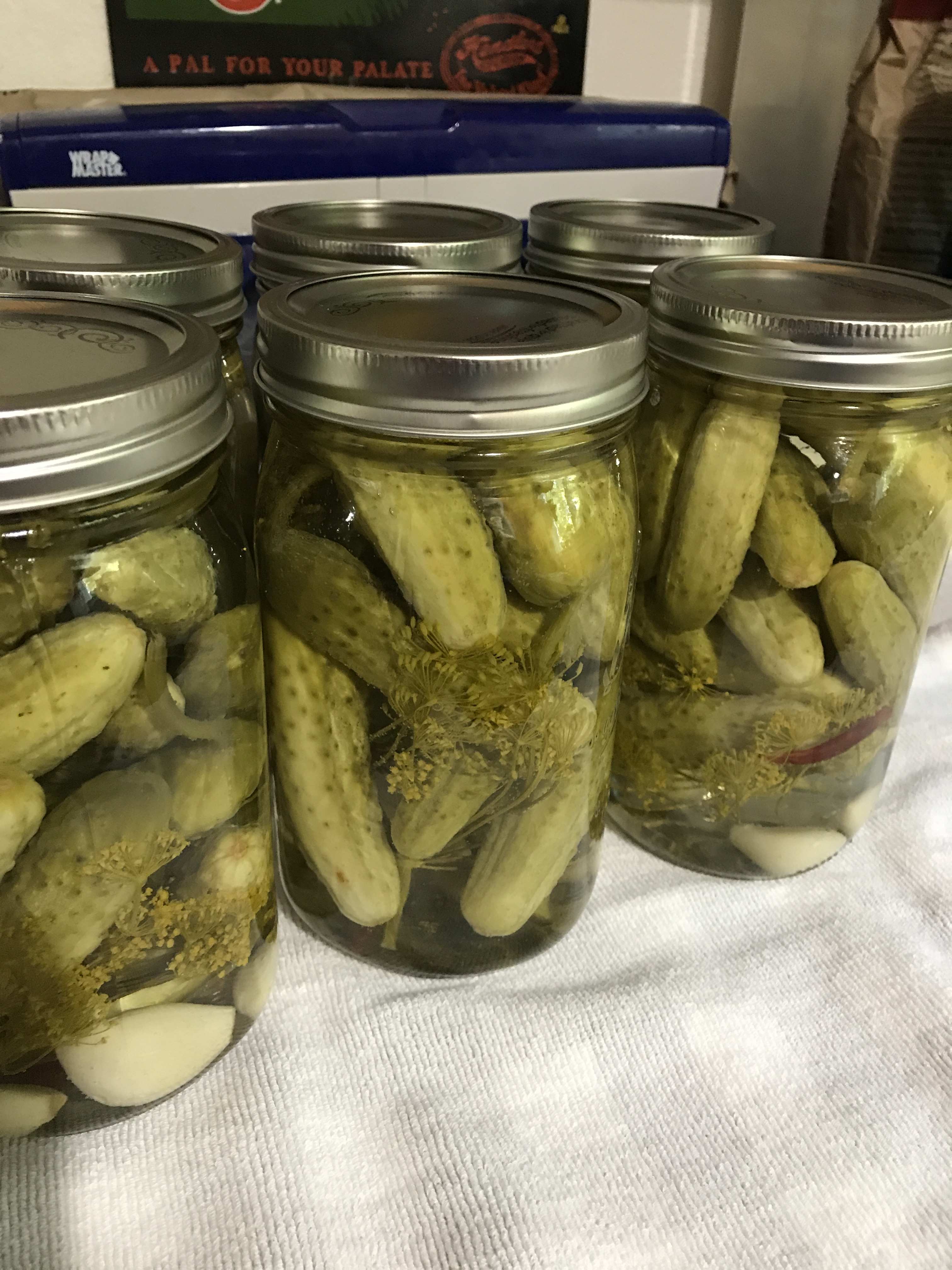 Mondo's Hot & Spicy Pickles Recipe - Food.com