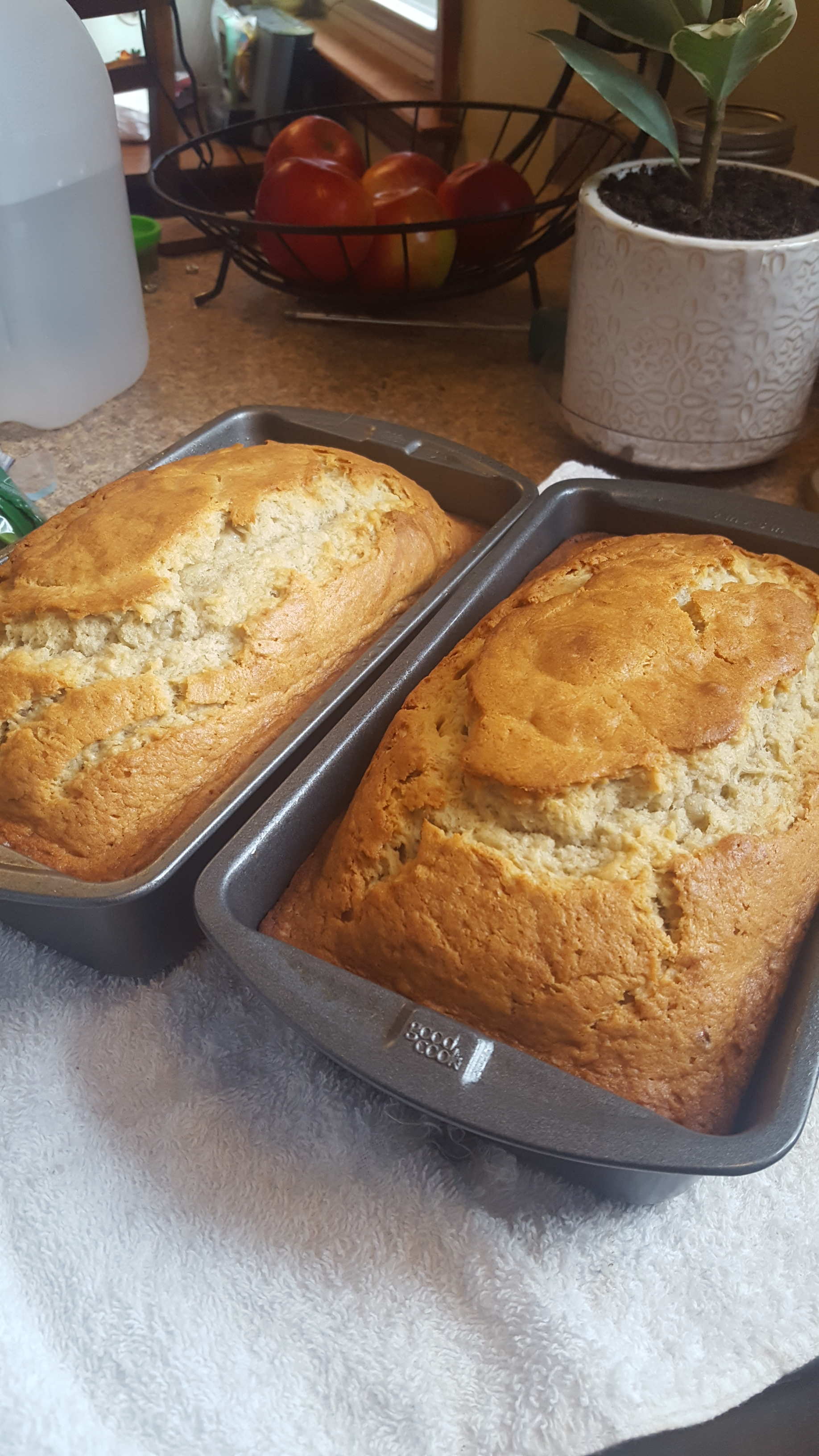 Sourdough Banana Bread Recipe - Food.com