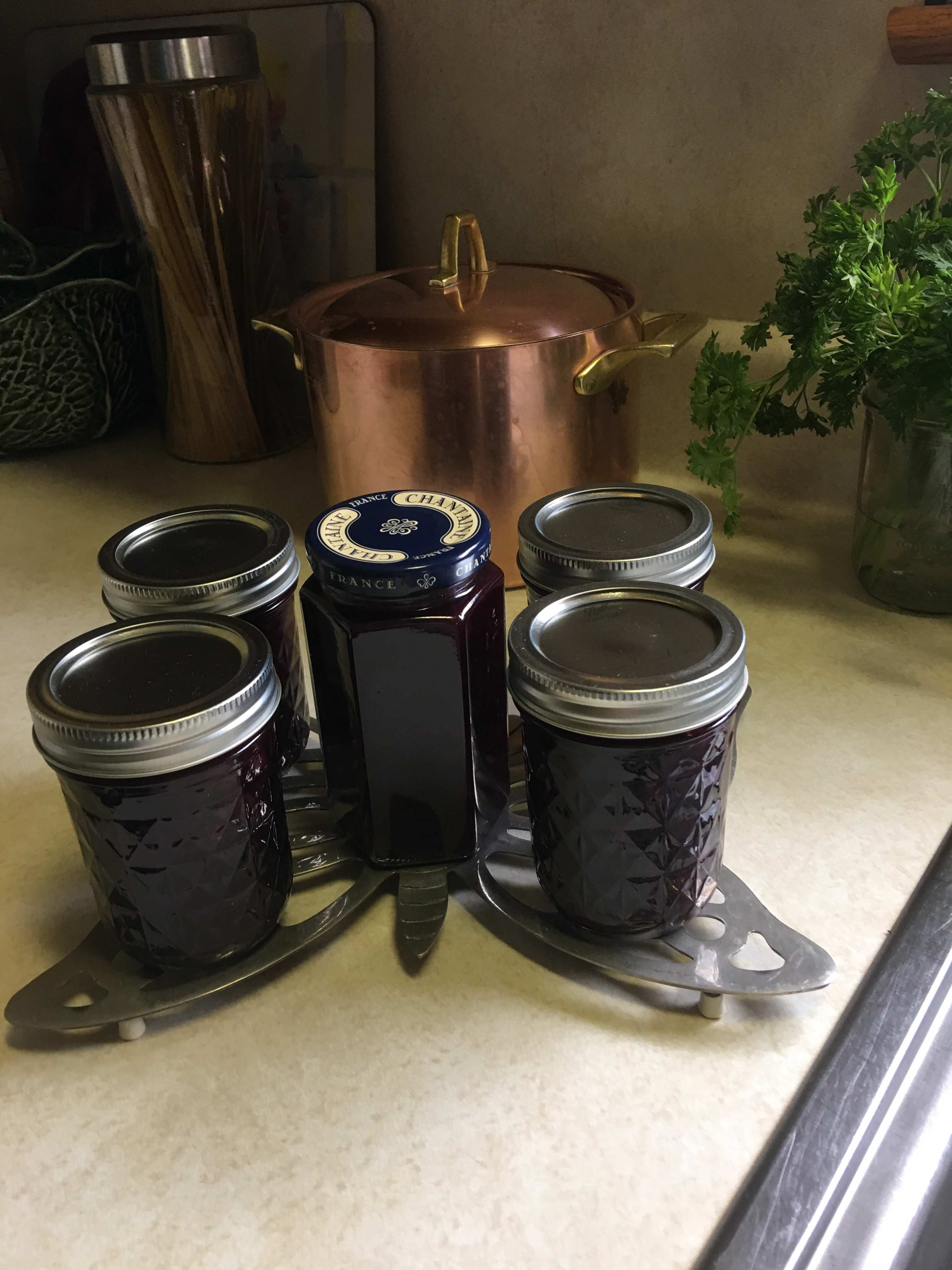 Concord Grape Conserve Recipe - Healthy.Food.com