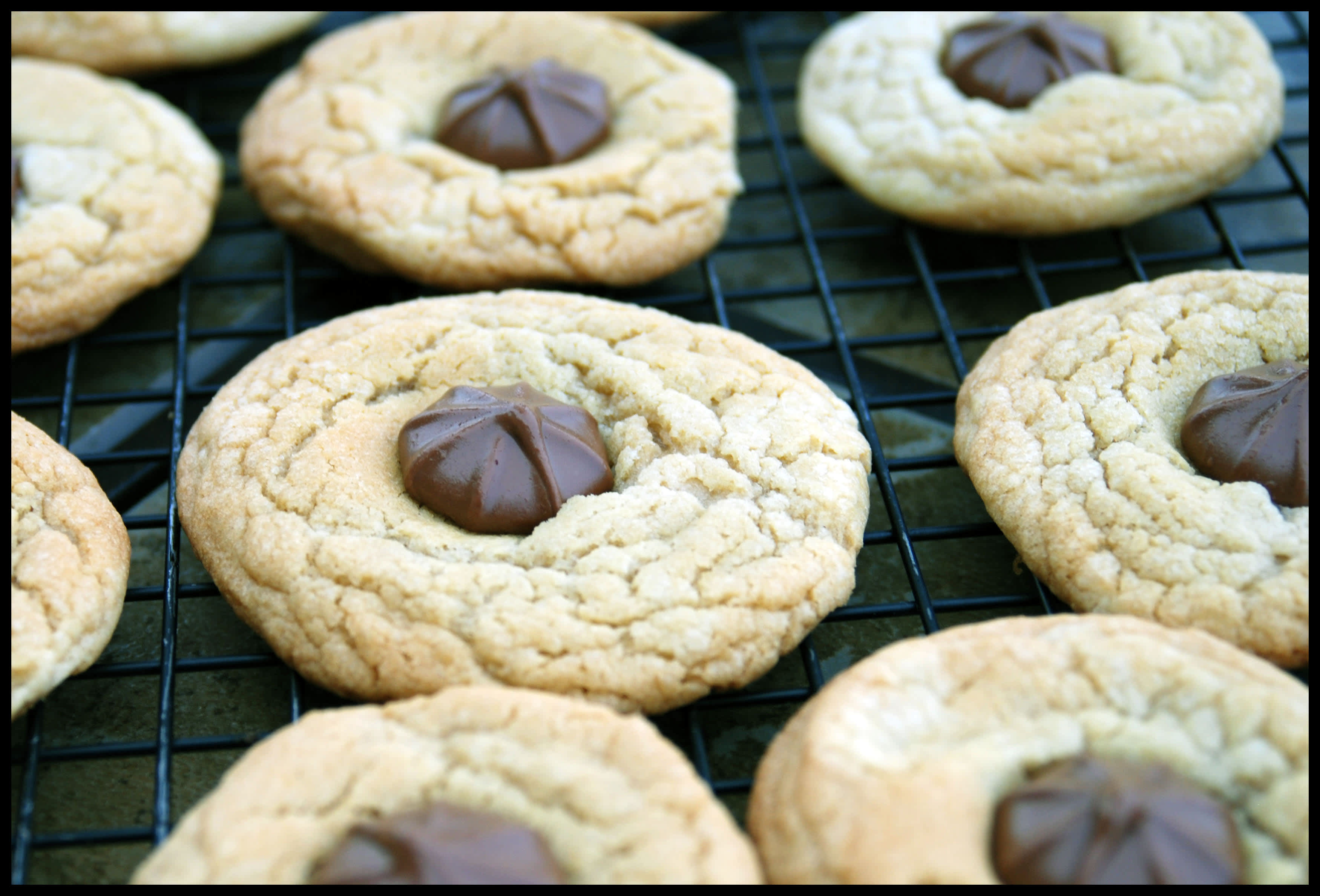 Chocolate Star Cookies Recipe - Food.com
