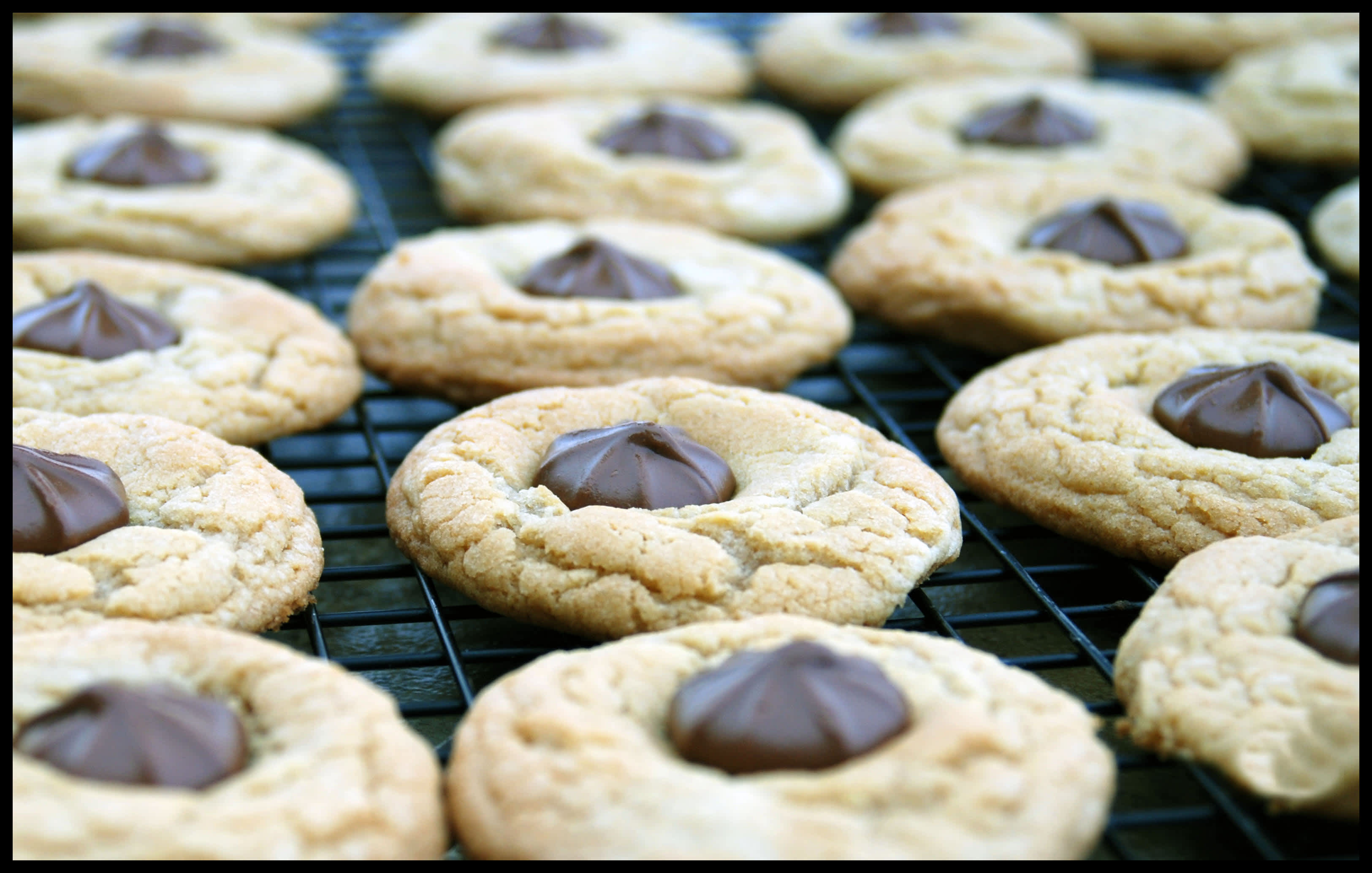 Chocolate Star Cookies Recipe - Food.com
