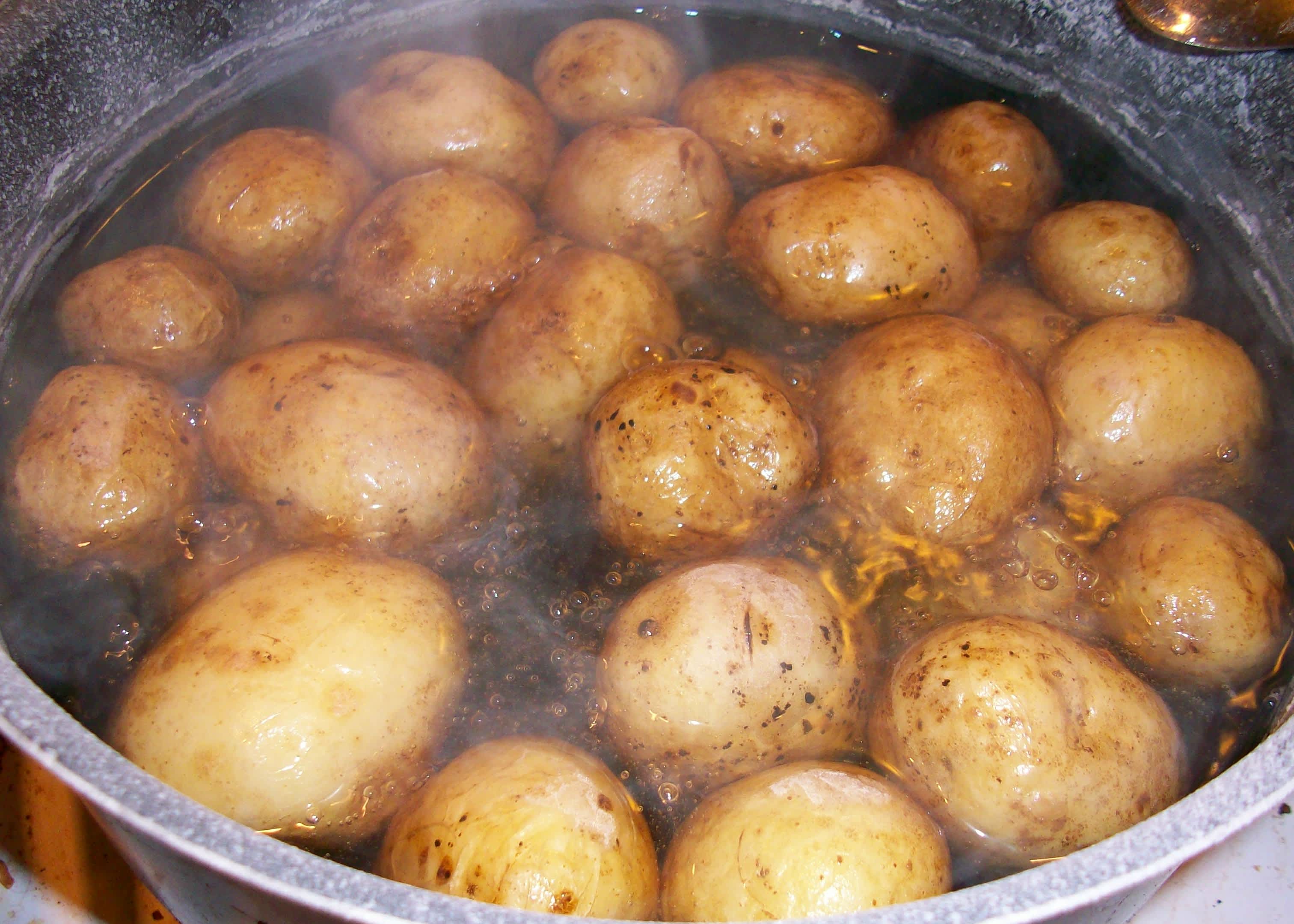 Salt Potatoes New York Style Recipe - Food.com