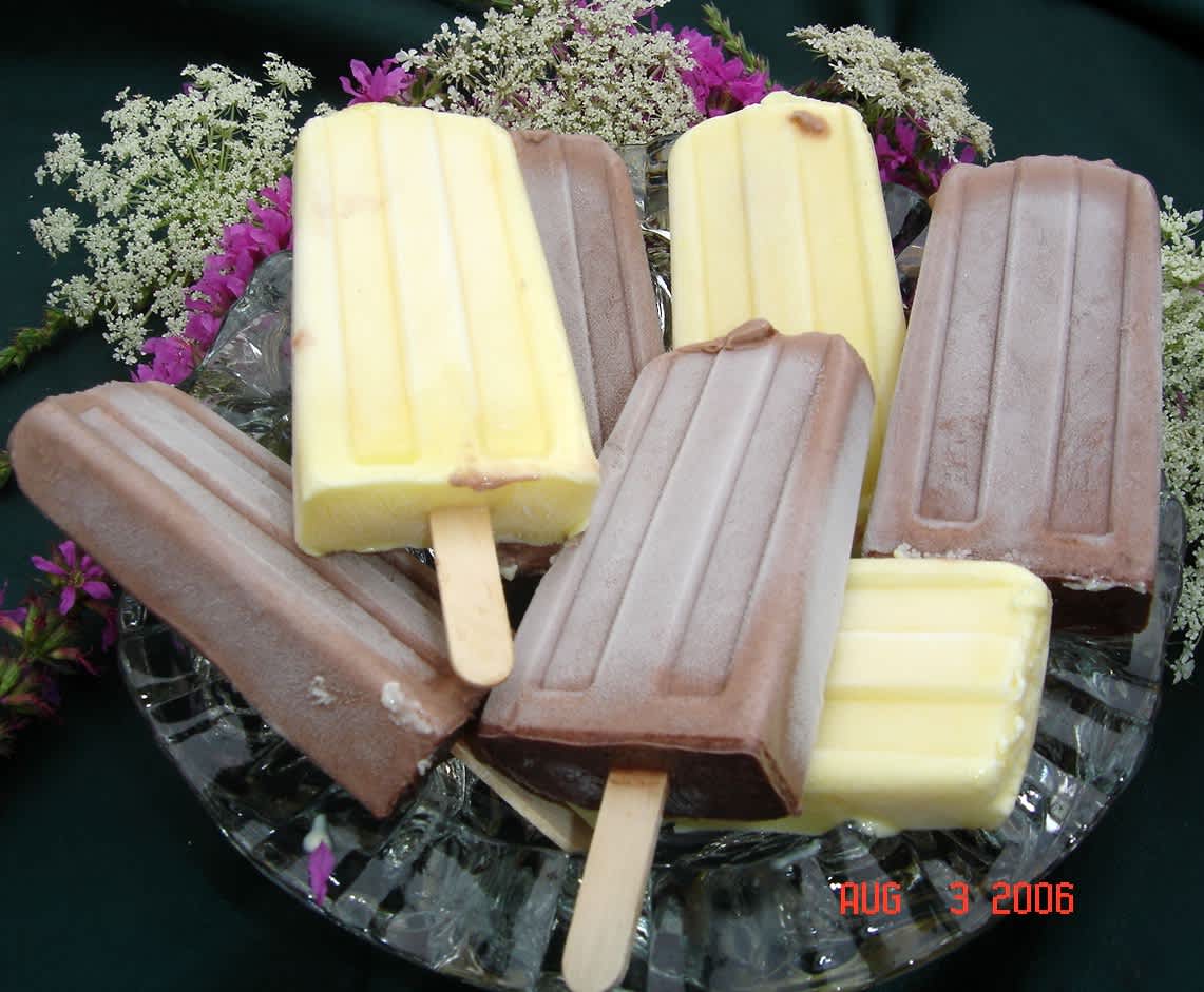 Frozen Fudge Pops Recipe - Food.com