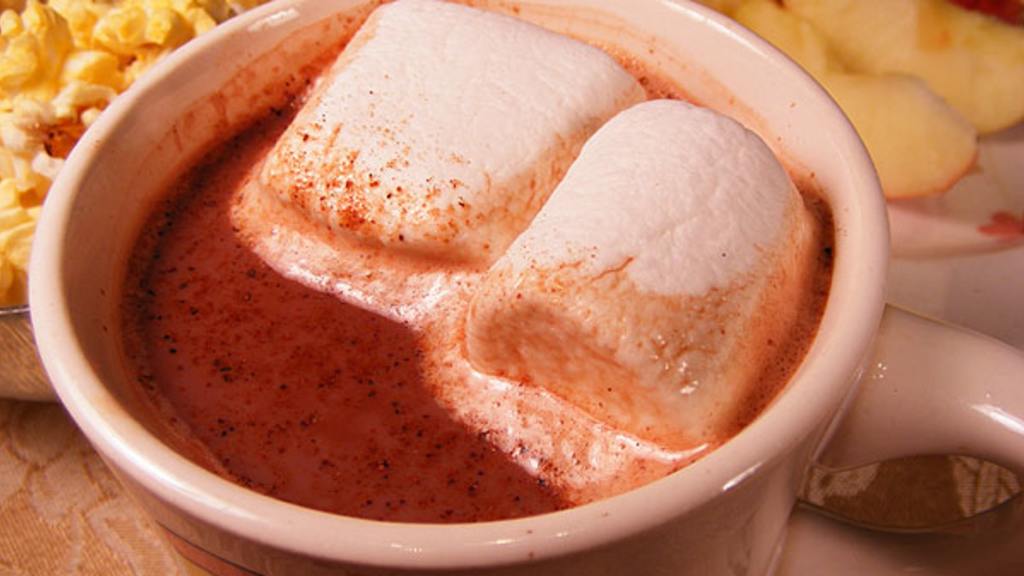 Chocolatey Hot Cocoa For One Recipe