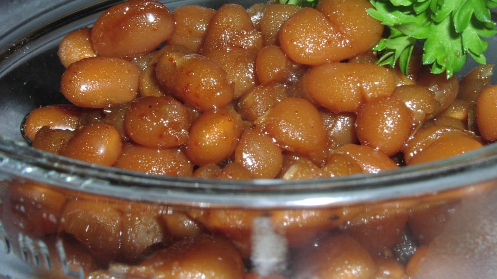 Rock & Roll BBQ Pit Style Beans for the Crock Pot Recipe - Food.com