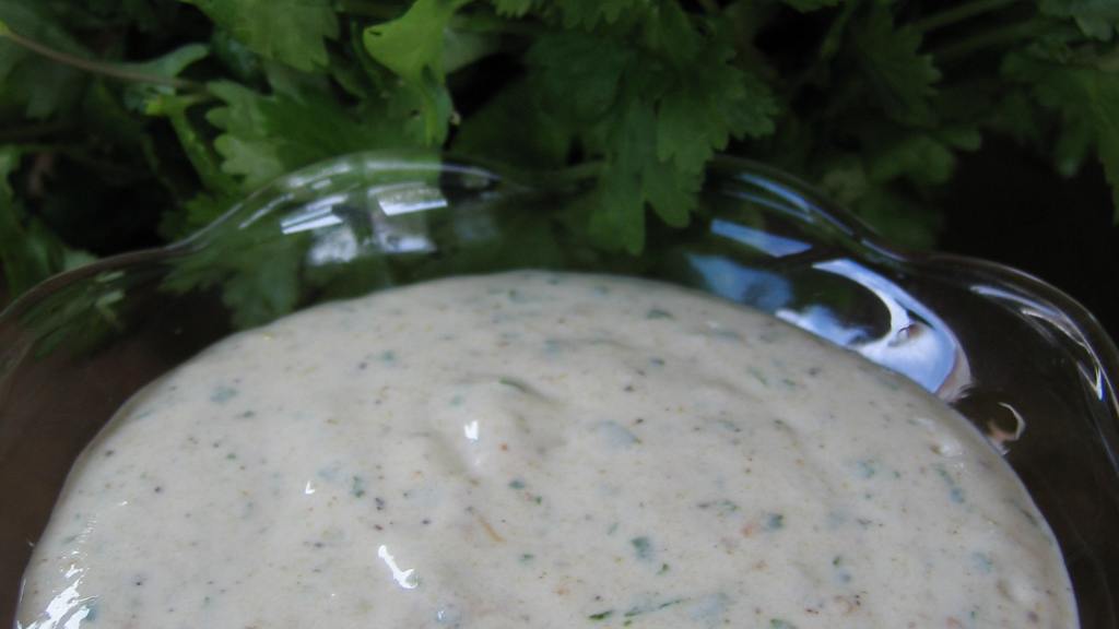 Amy's Cilantro Cream Sauce Recipe - Food.com