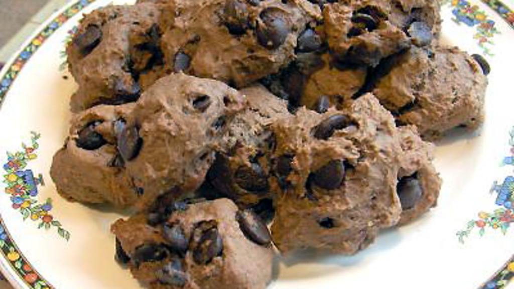 Chocolate Oat Bran Cookies With Chocolate Chips Recipe - Food.com